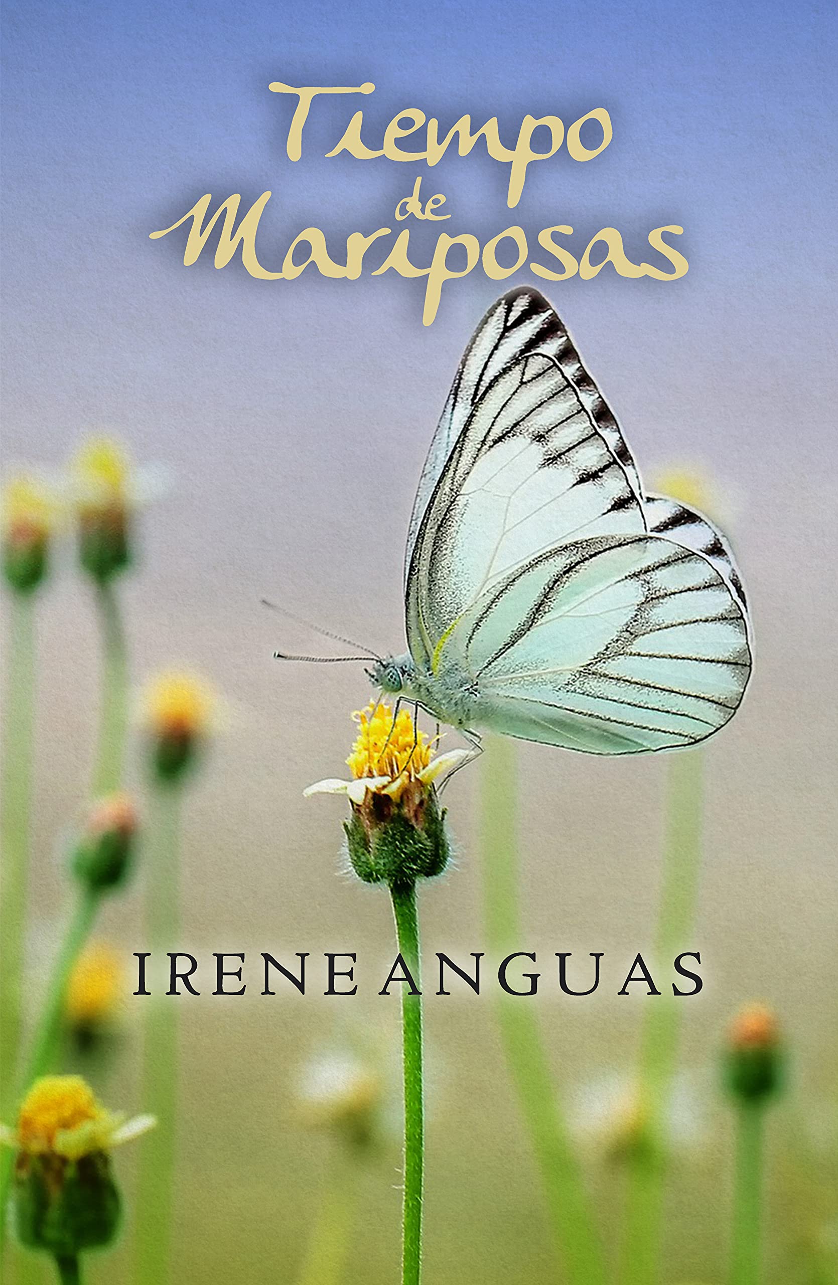 Tiempo de mariposas : Ficción contemporanéas by Irene Anguas | Goodreads