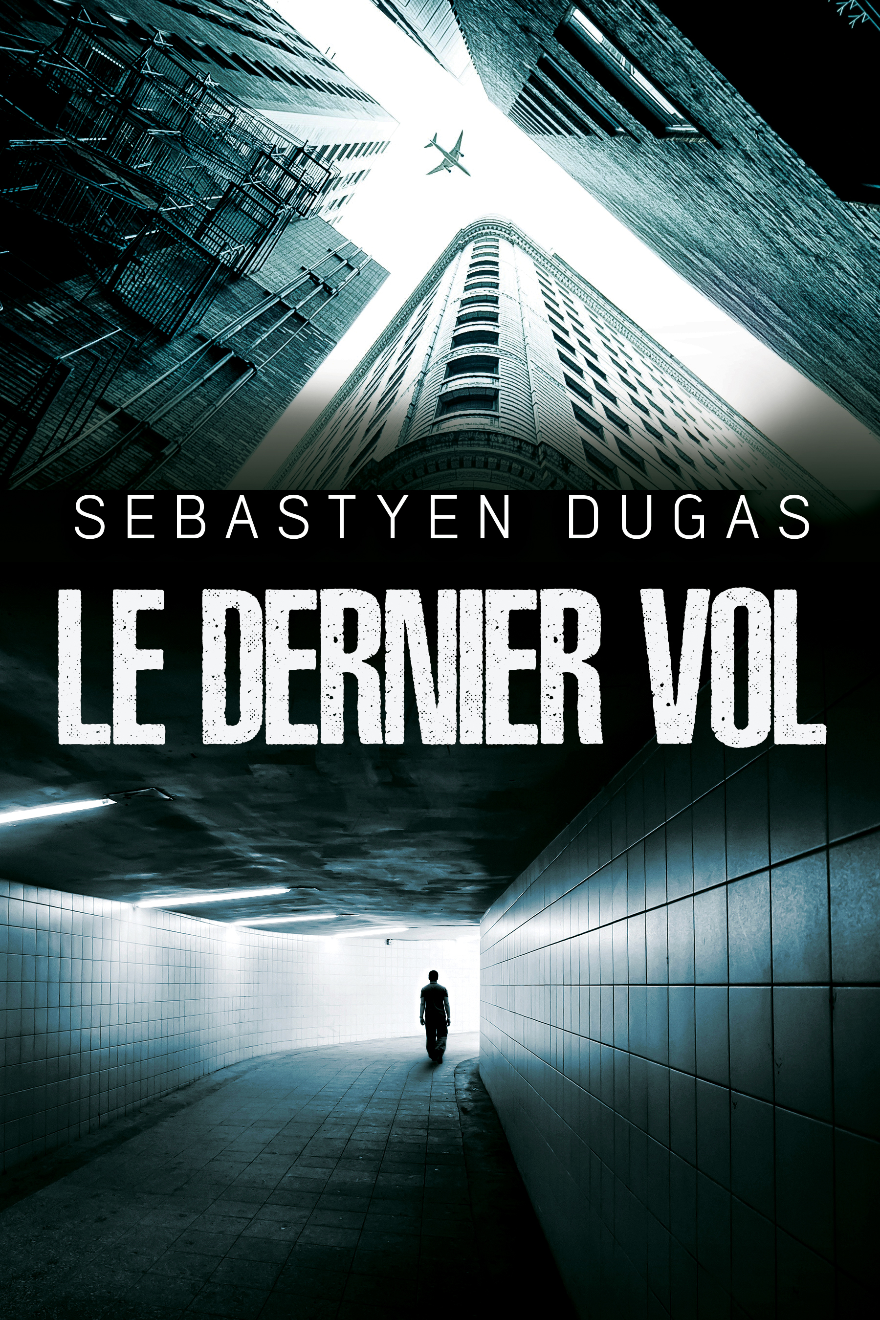 Le Dernier Vol by Sébastyen Dugas | Goodreads