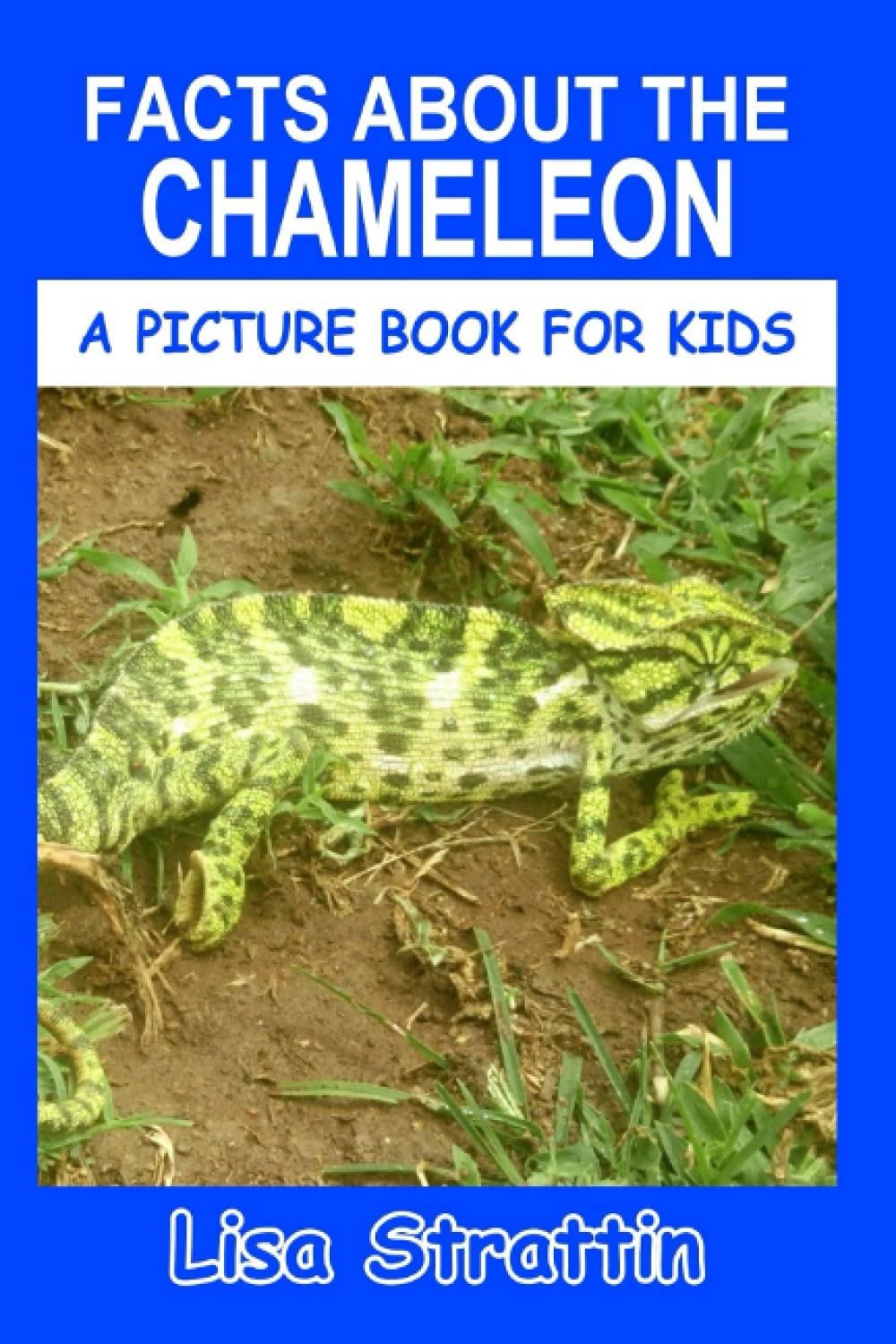 Facts About the Chameleon (A Picture Book For Kids) by Lisa Strattin ...