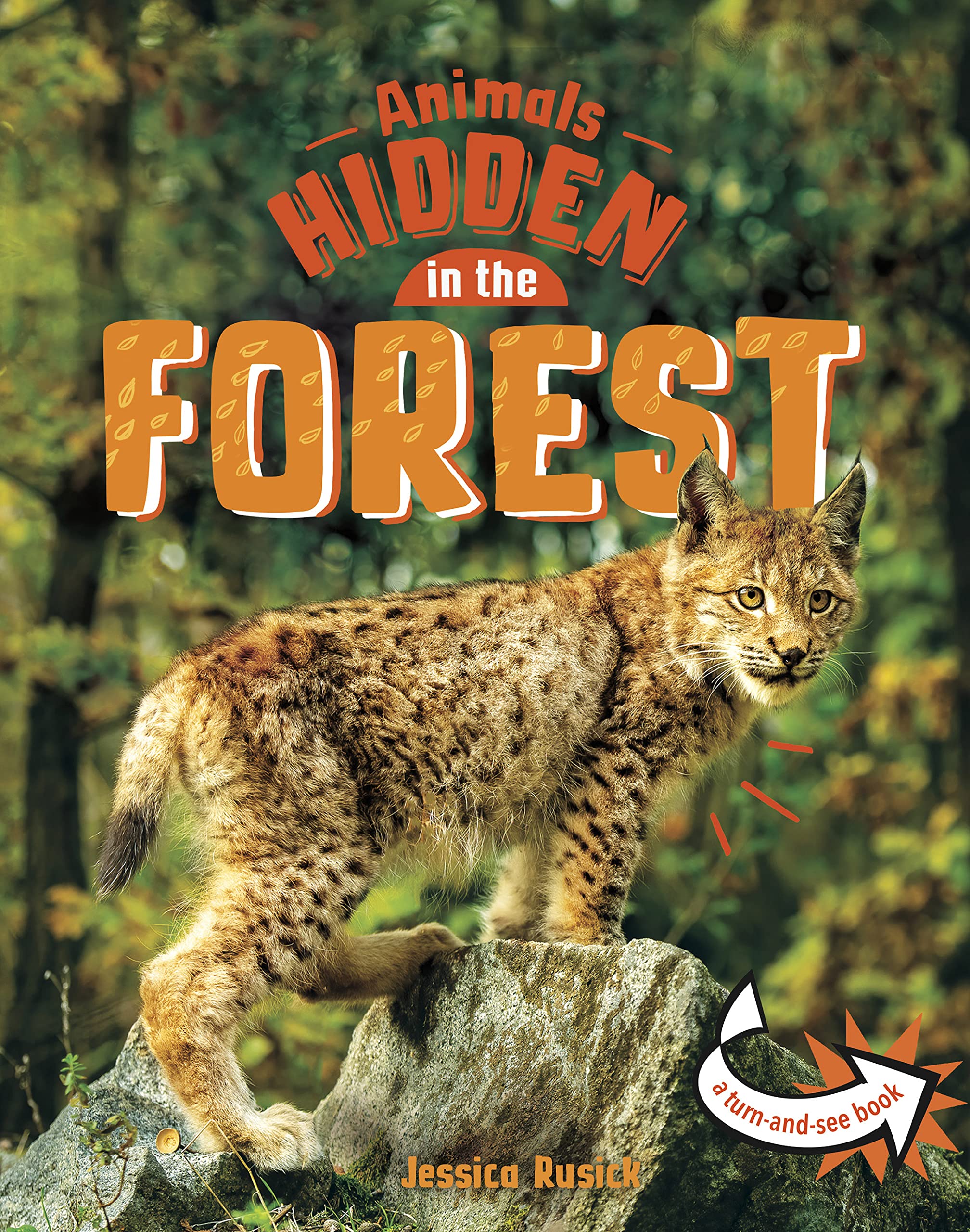 Animals Hidden in the Forest (Animals Undercover) by Jessica Rusick ...