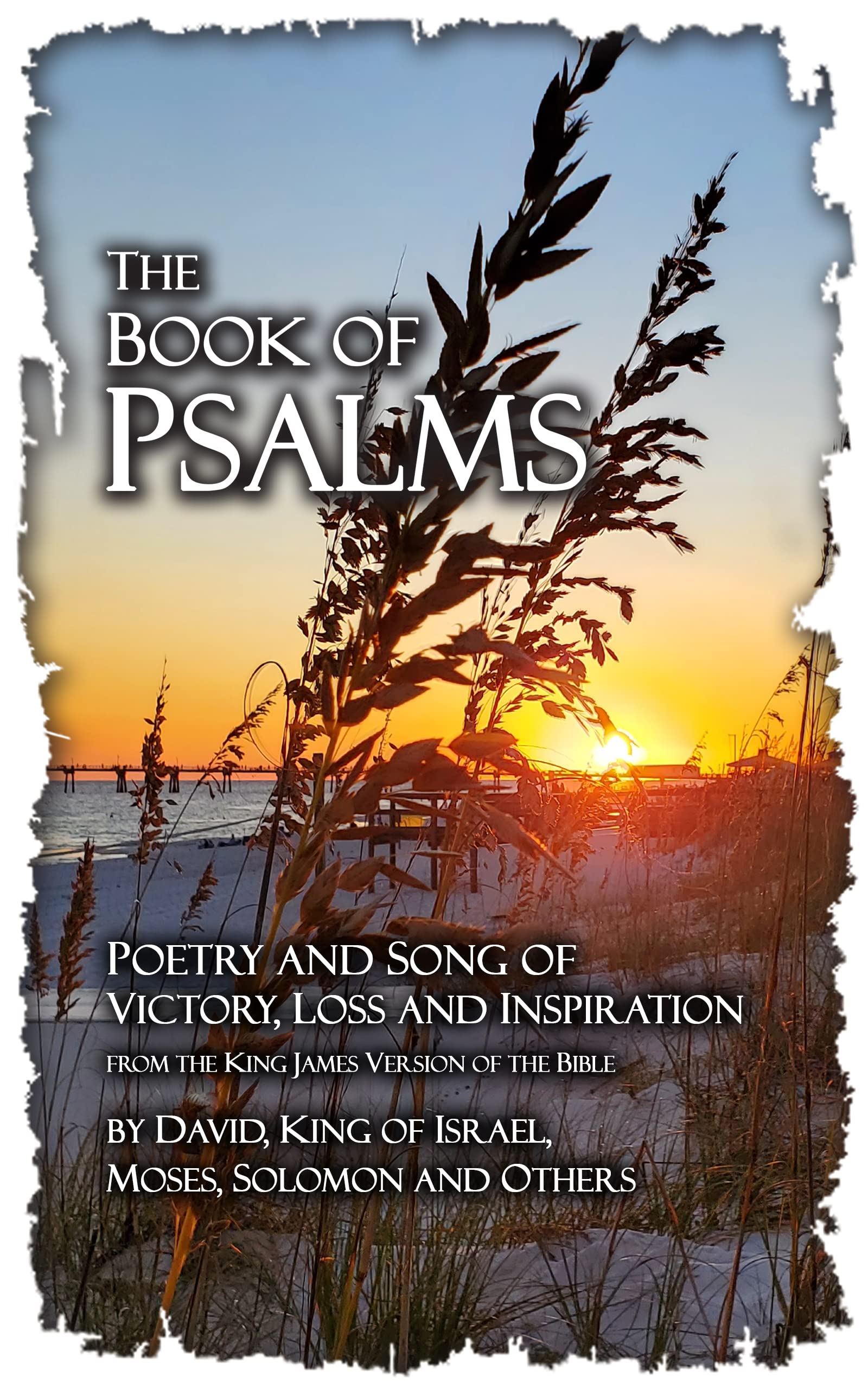 The Book of Psalms (Illustrated): Poetry and Song of Victory, Loss and ...