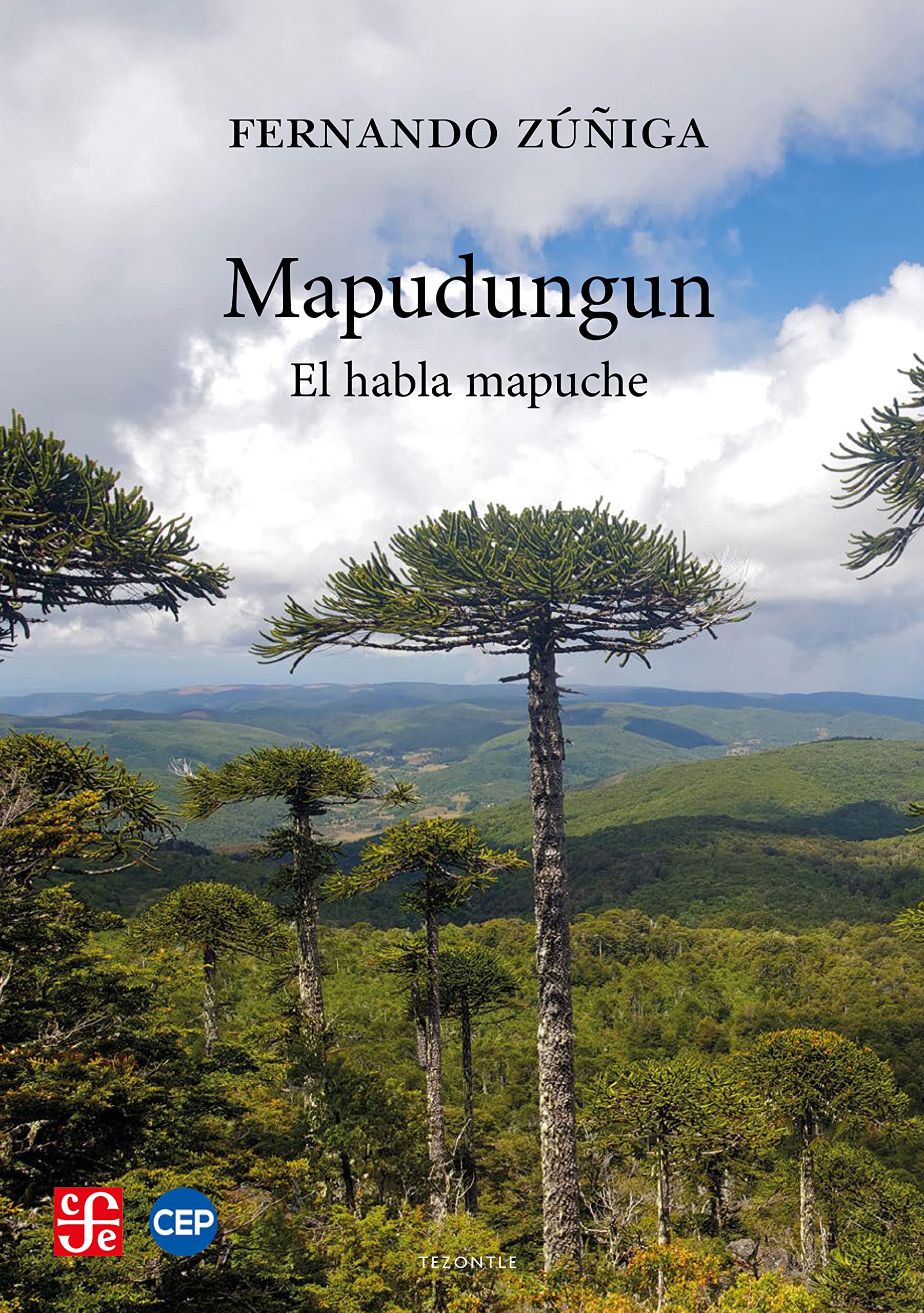 Mapudungun. El habla mapuche (Spanish Edition) by Fernando Zúñiga ...