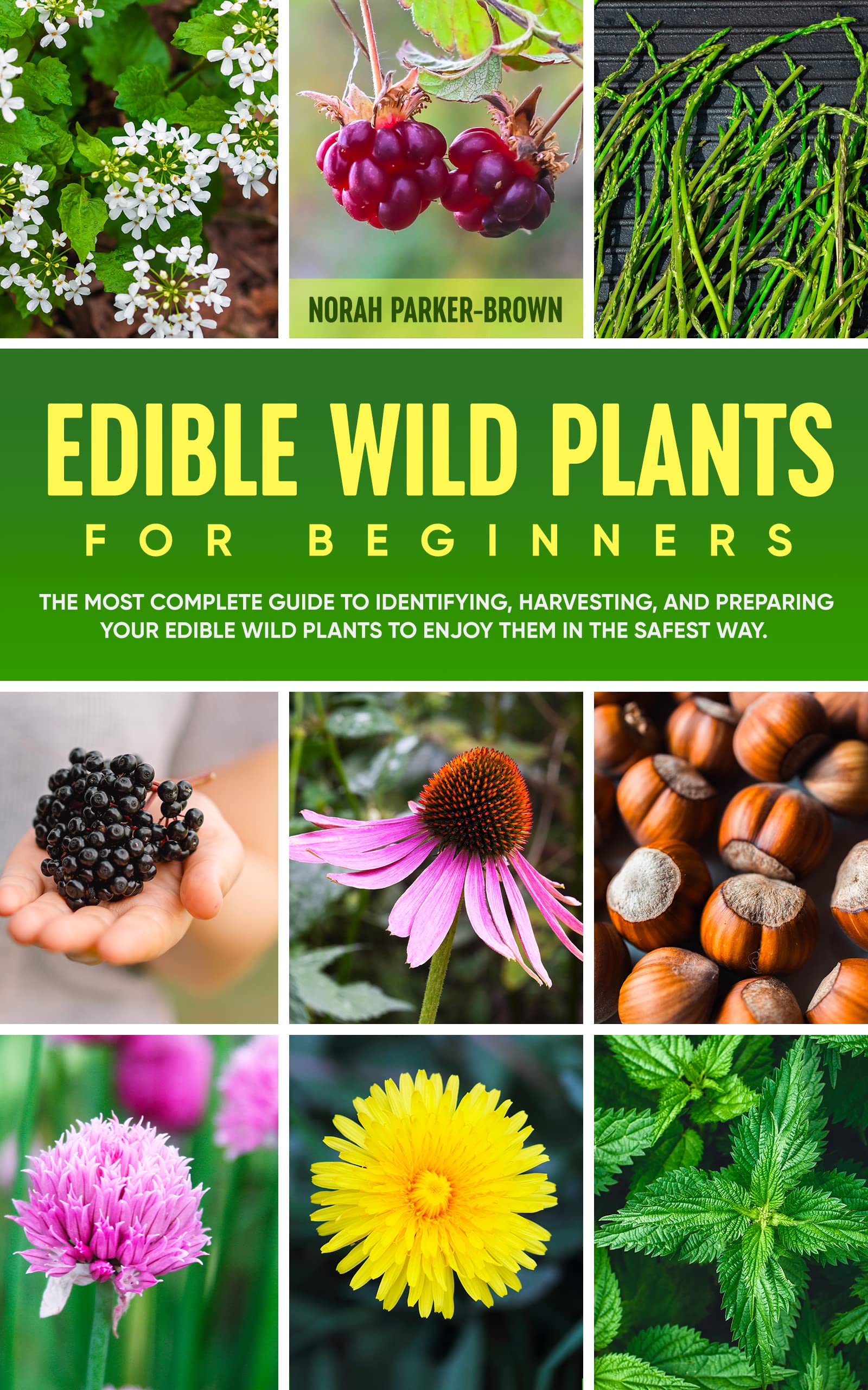 Edible Wild Plants for Beginners: The Most Complete Guide to ...