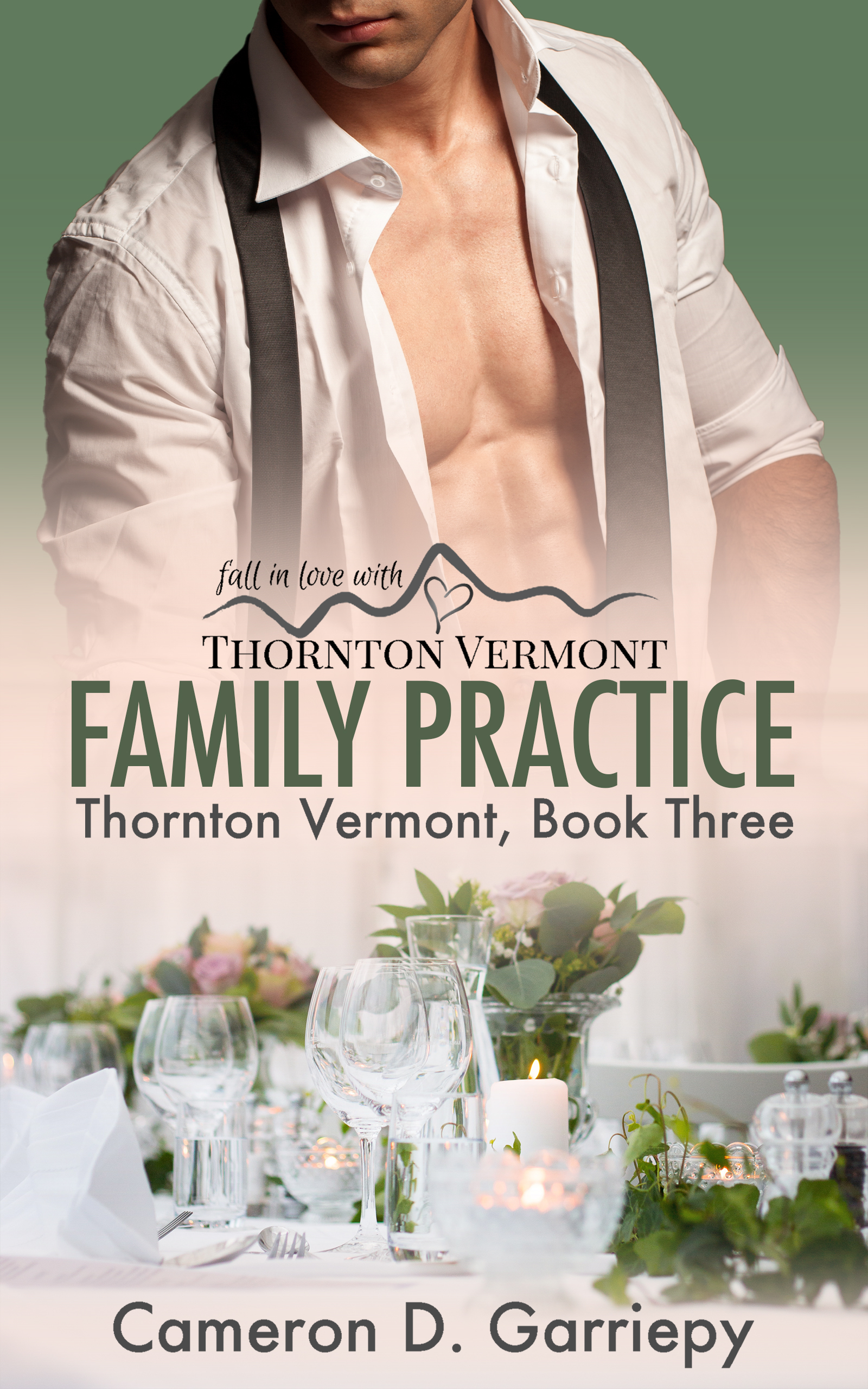 Family Practice (Thornton Vermont #3) by Cameron D. Garriepy | Goodreads