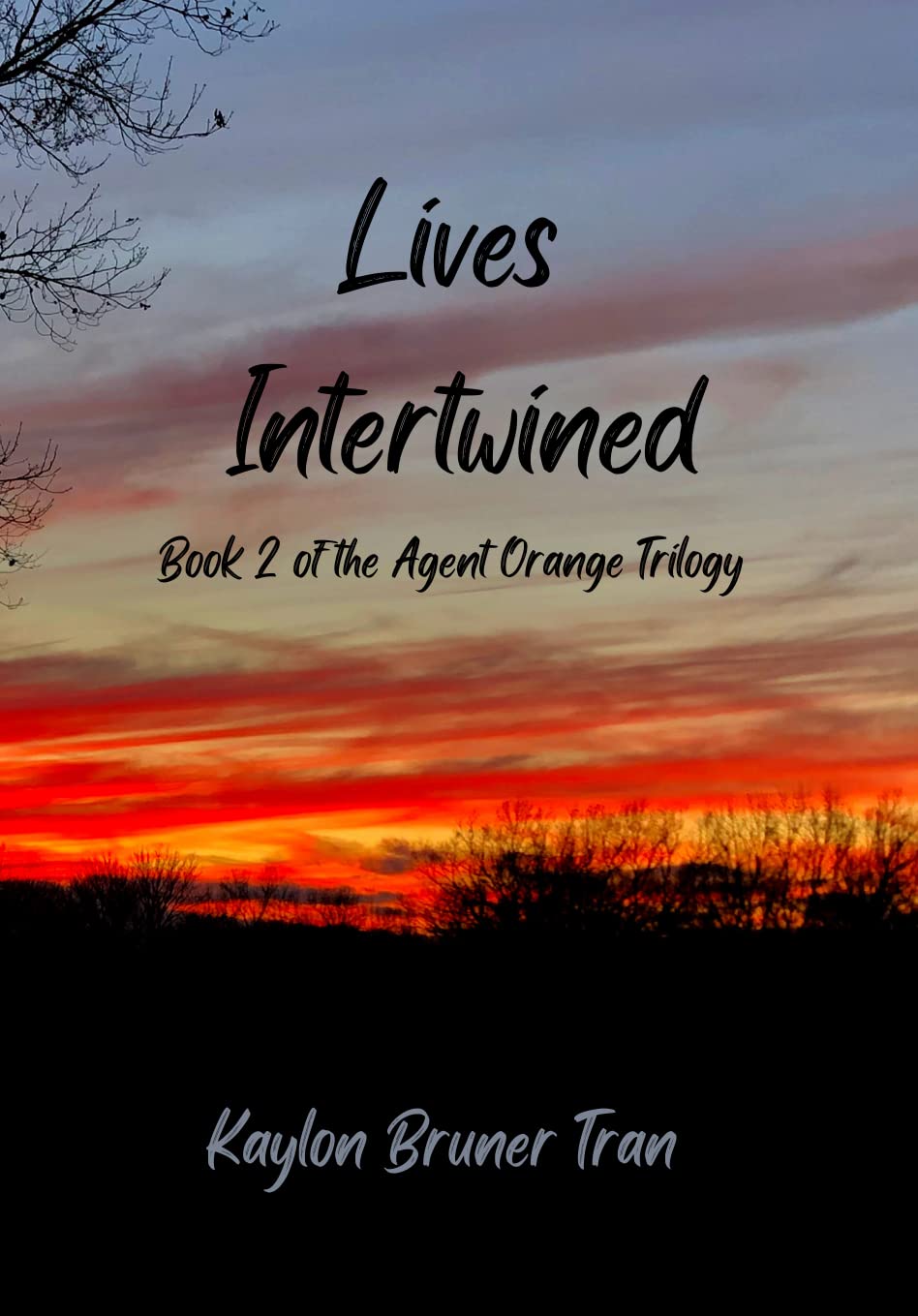 Lives Intertwined: Book 2 of the Agent Orange Trilogy by Kaylon Bruner ...