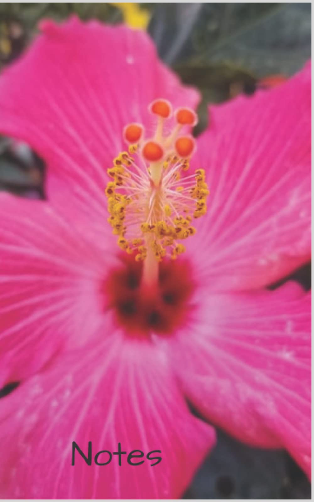 Notes: Hibiscus flower mini notebook by R. Ryden Long | Goodreads