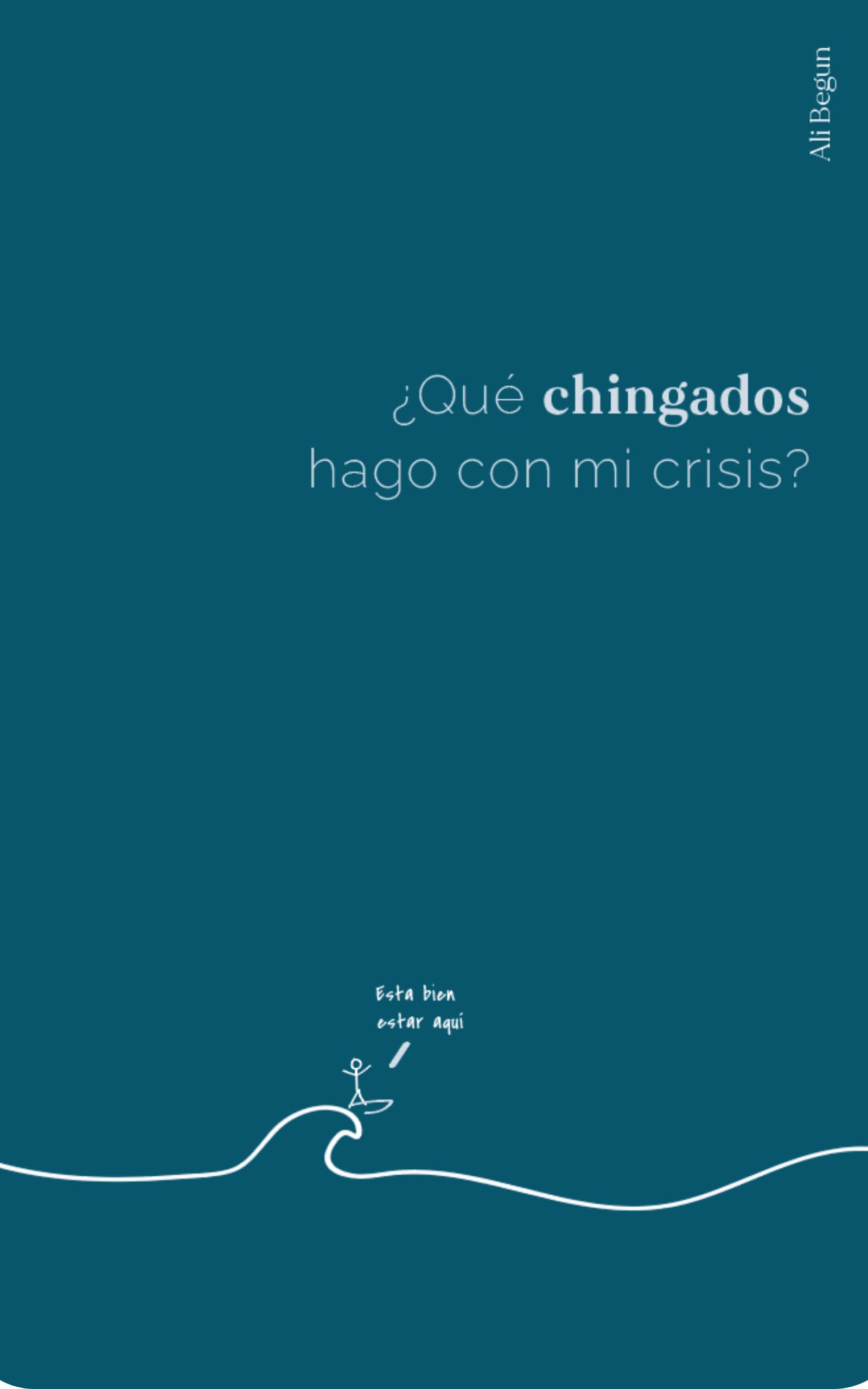¿Qué chingados hago con mis crisis? (Spanish Edition) by Ali Begun ...