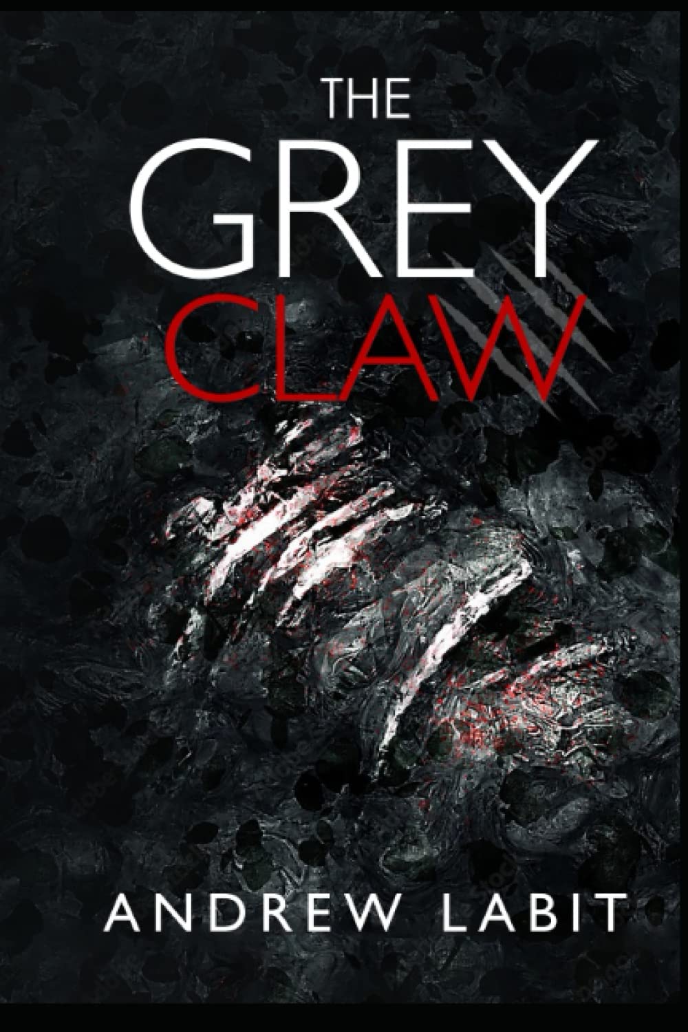 The Grey Claw by Andrew Labit | Goodreads