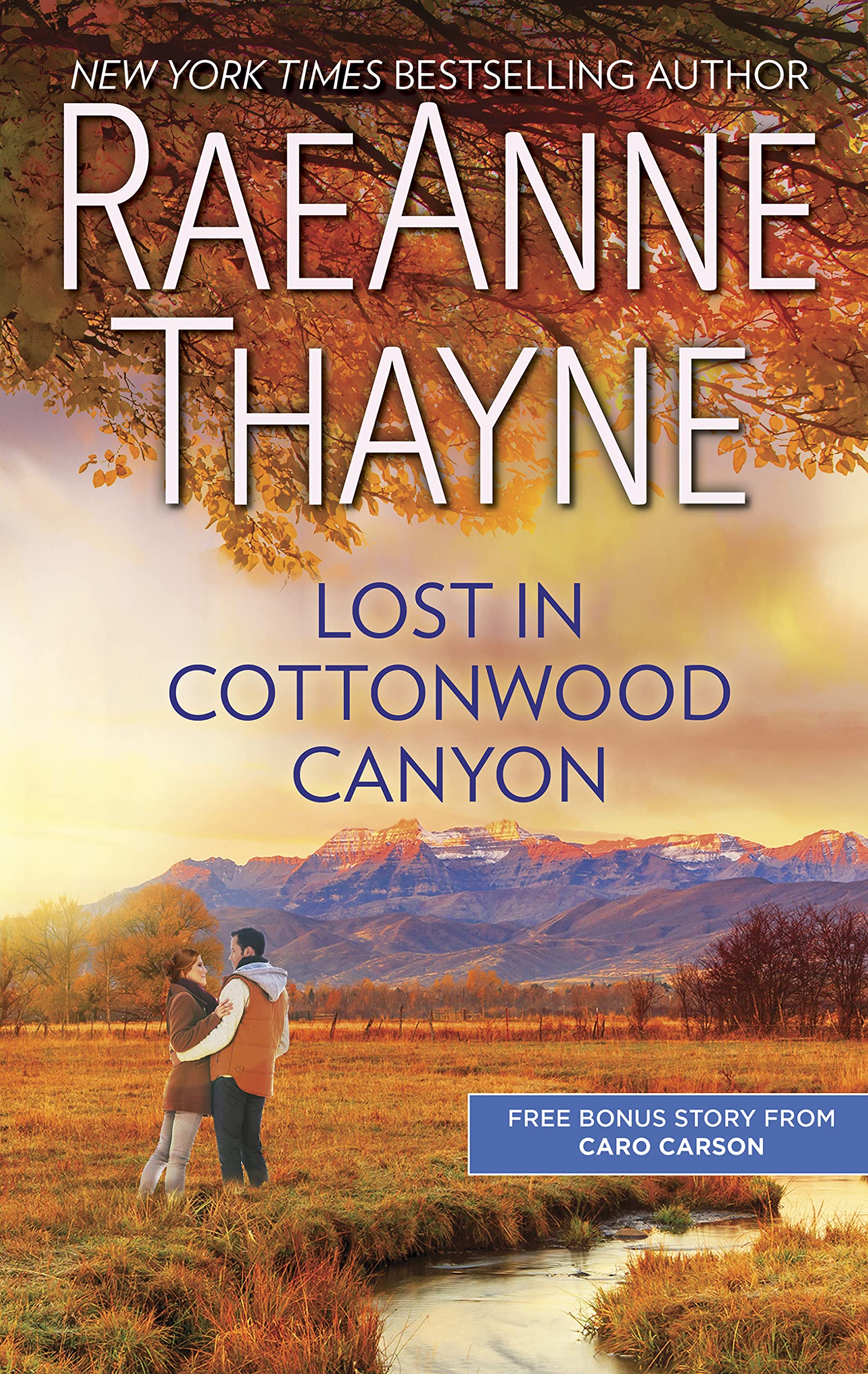 Lost in Cottonwood Canyon / How to Train a Cowboy by RaeAnne Thayne ...