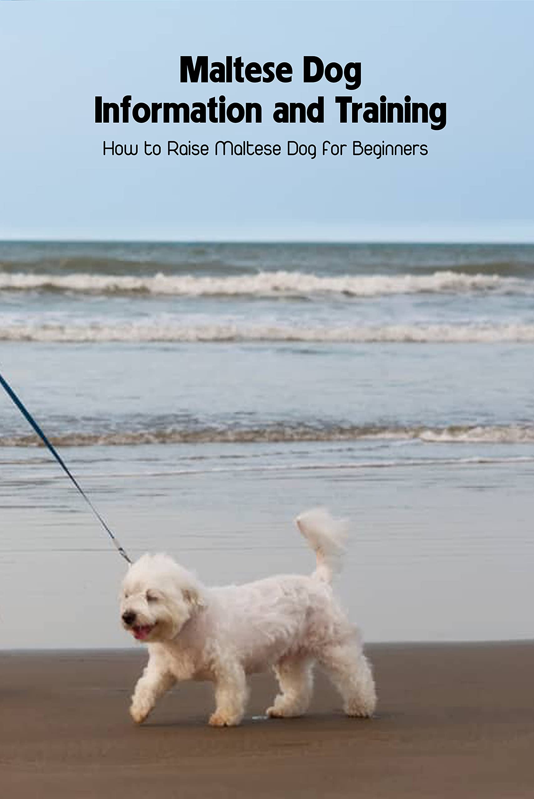 Maltese Dog Information and Training: How to Raise Maltese Dog for ...