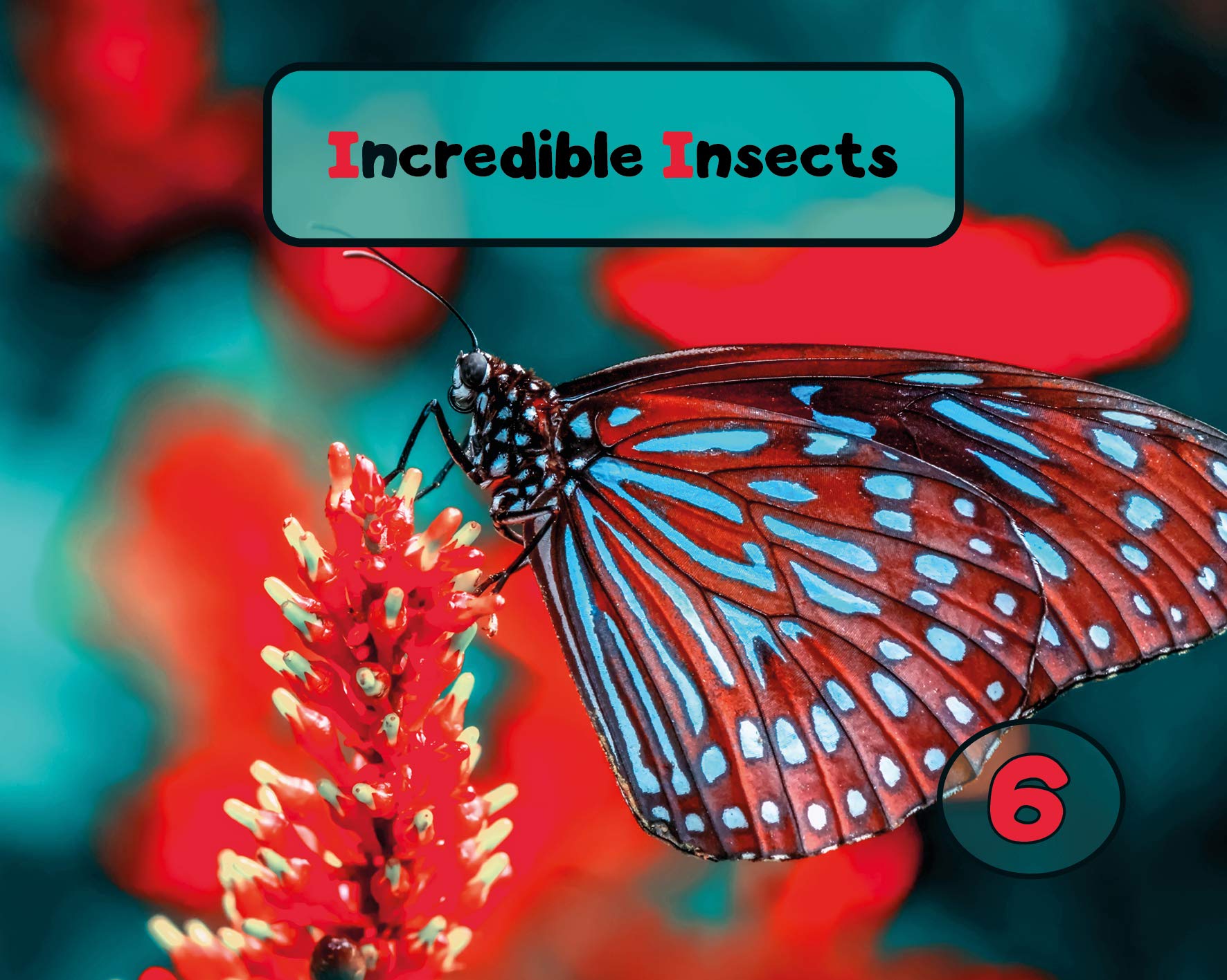 Incredible Insects (Amazing Animals Book 6) by Balazs Csigi | Goodreads