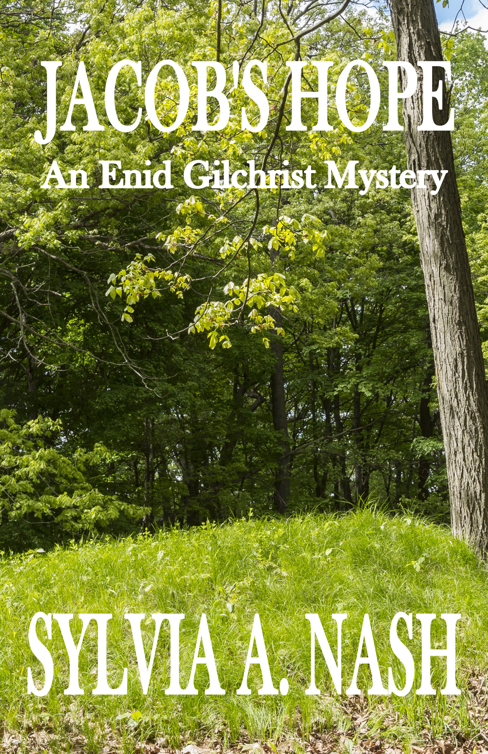 Jacob's Hope, An Enid Gilchrist Mystery (#5) by Sylvia A. Nash | Goodreads