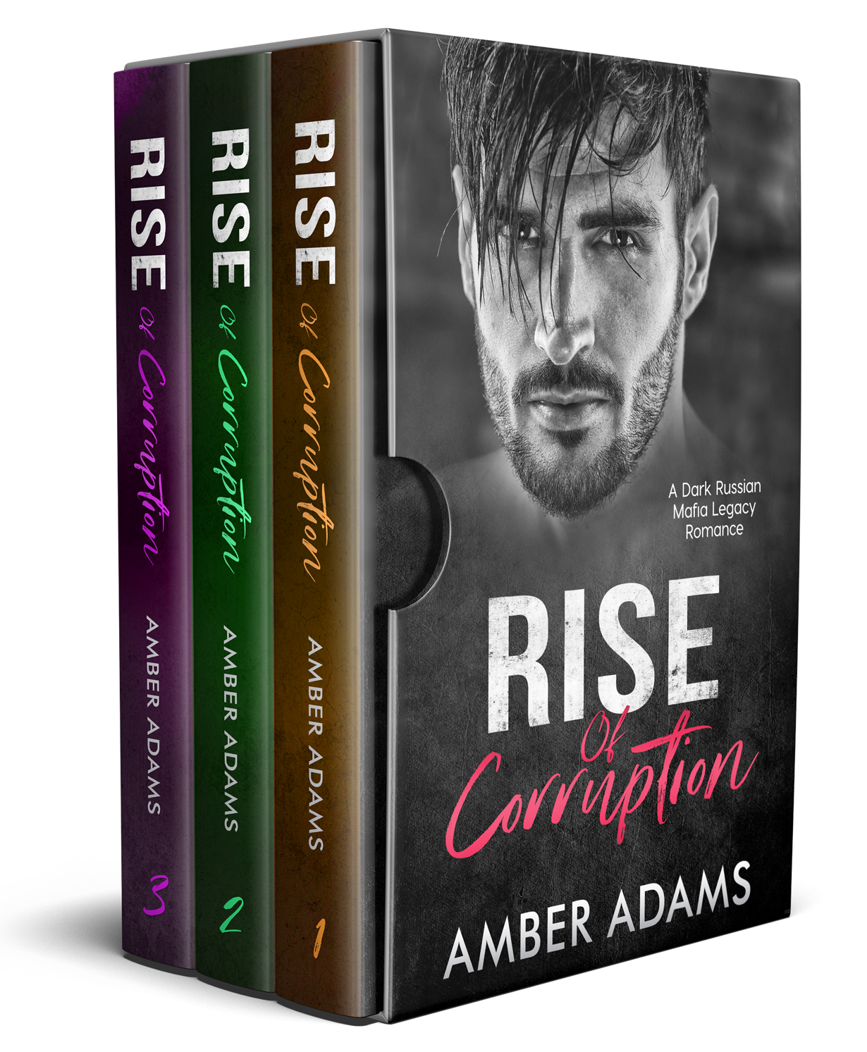 Rise of Corruption by Amber Adams | Goodreads