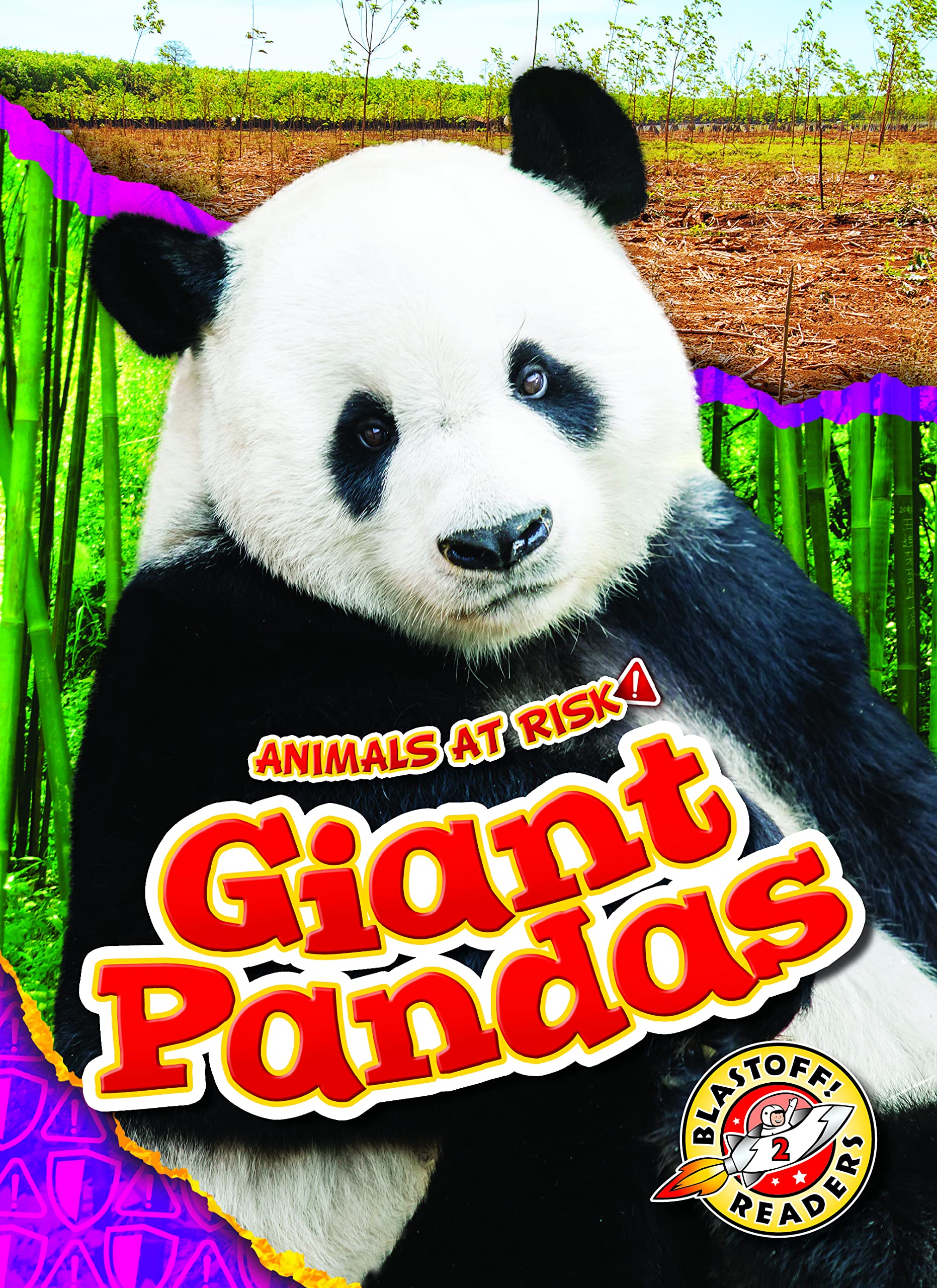 Giant Pandas by Rachel Grack | Goodreads