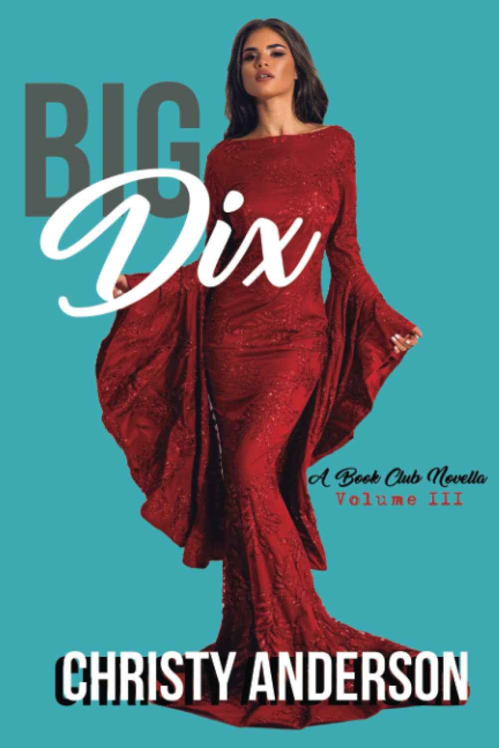 Big Dix (A Book Club Novella 3) by Christy Anderson | Goodreads