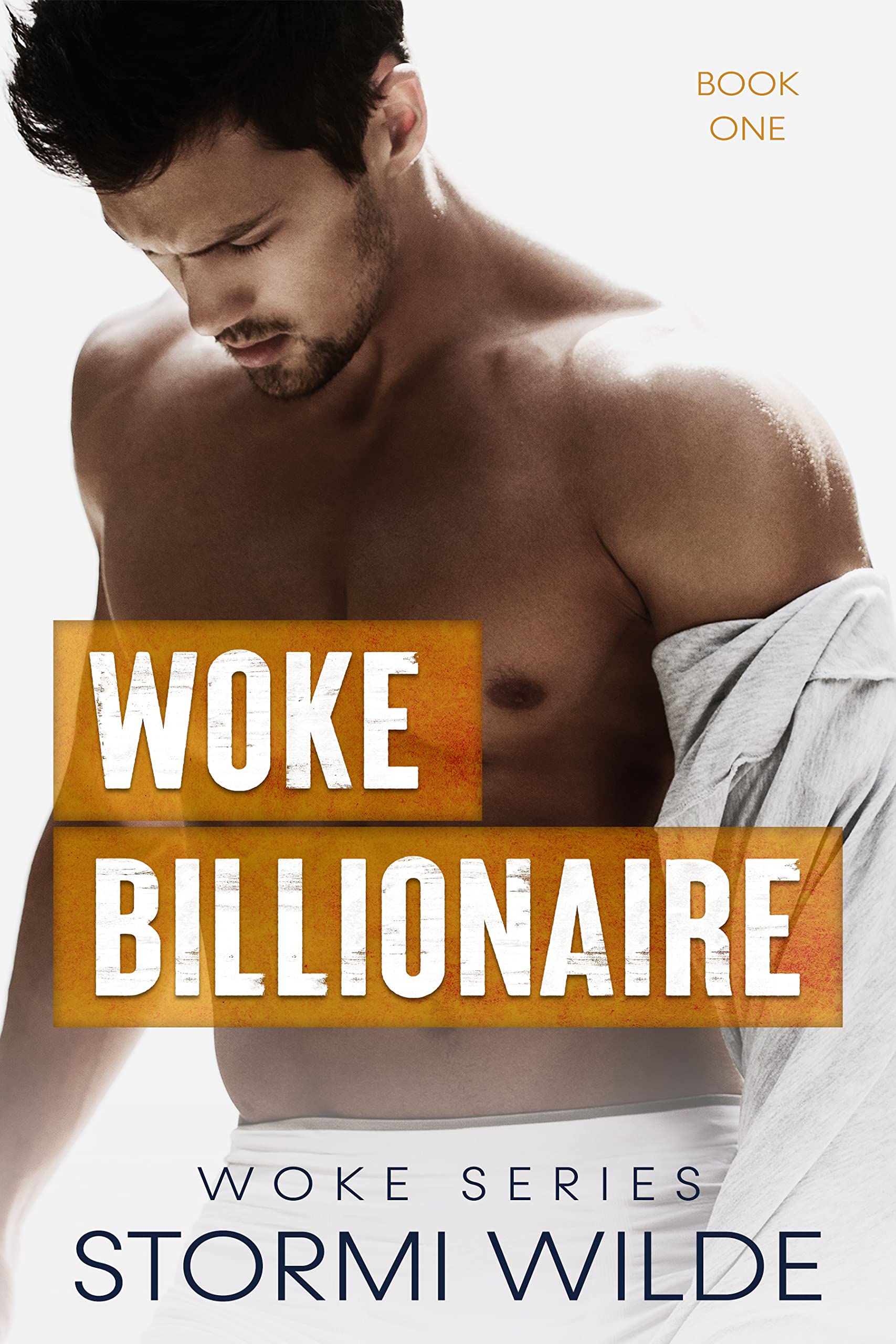 Woke Billionaire (The Woke Series) by Stormi Wilde | Goodreads