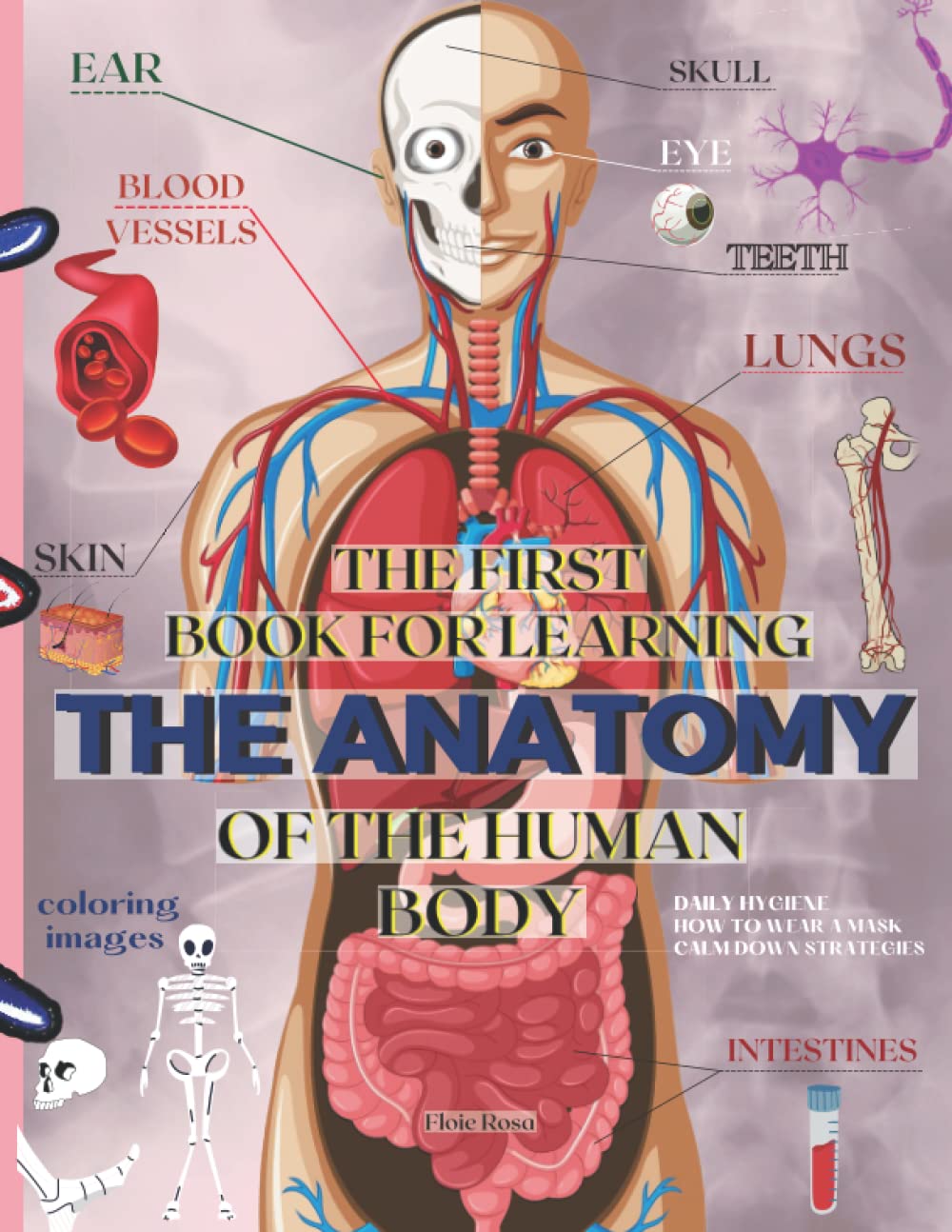 THE FIRST BOOK FOR LEARNING THE ANATOMY OF THE HUMAN BODY: An ...
