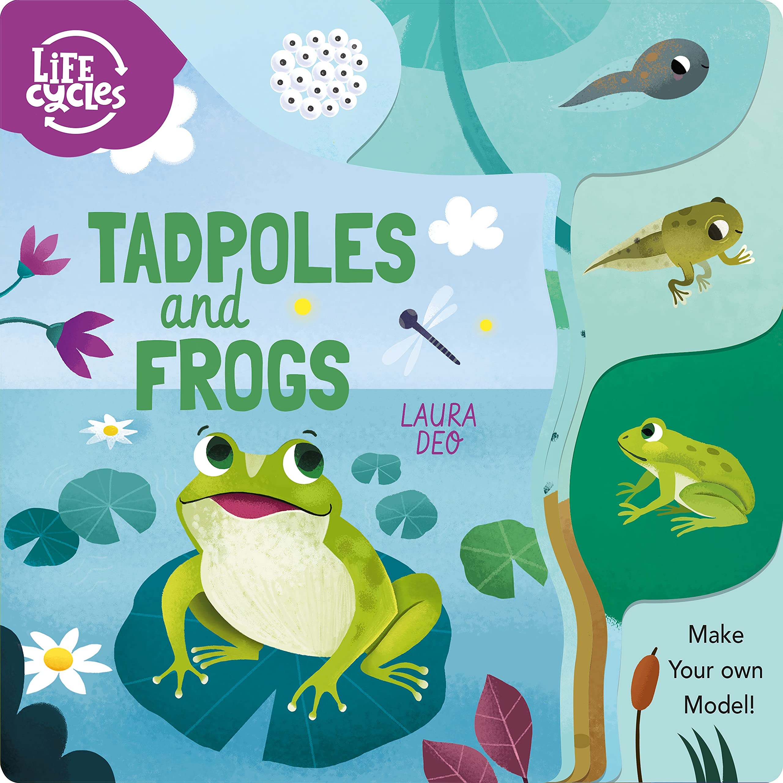 Life Cycles: Tadpoles and Frogs: Make Your Own Model! by Annabel Savery ...