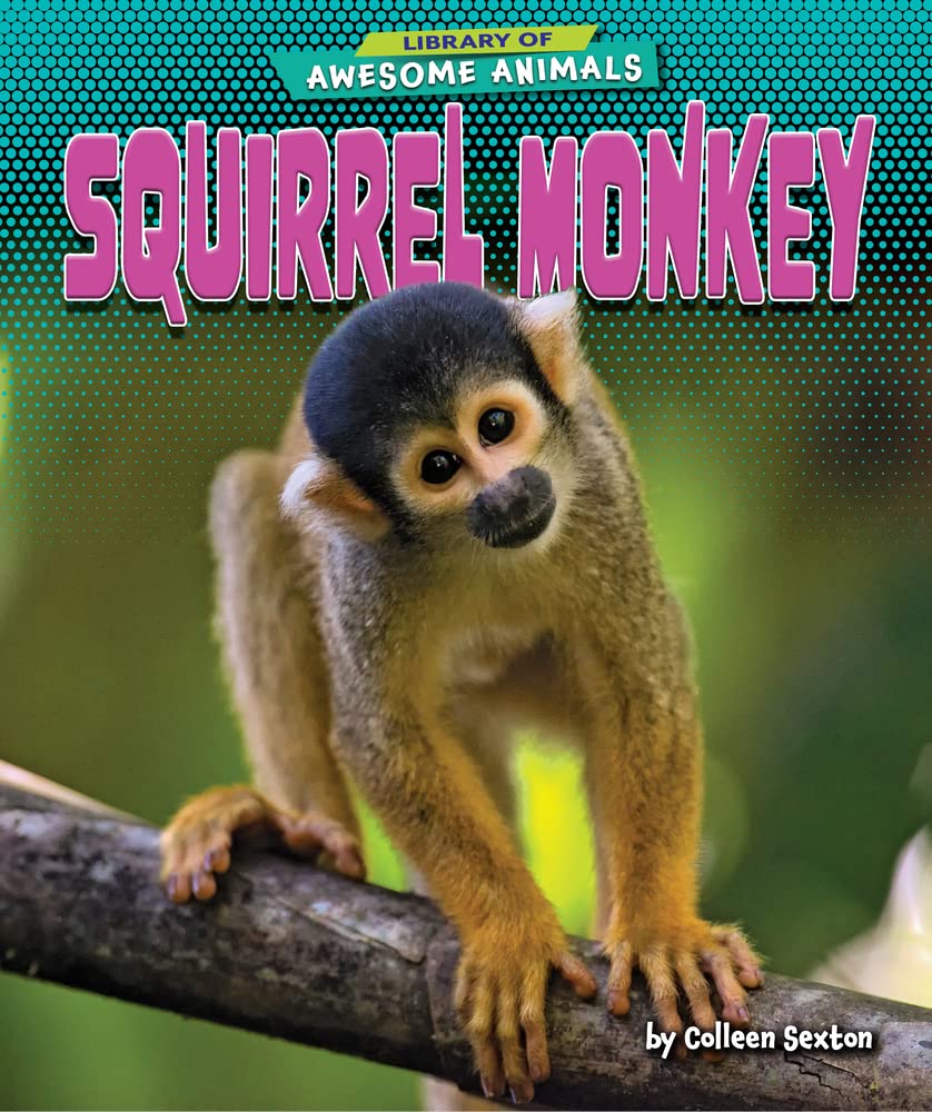 Squirrel Monkey - Non-Fiction Reading for Grade 3, Developmental ...
