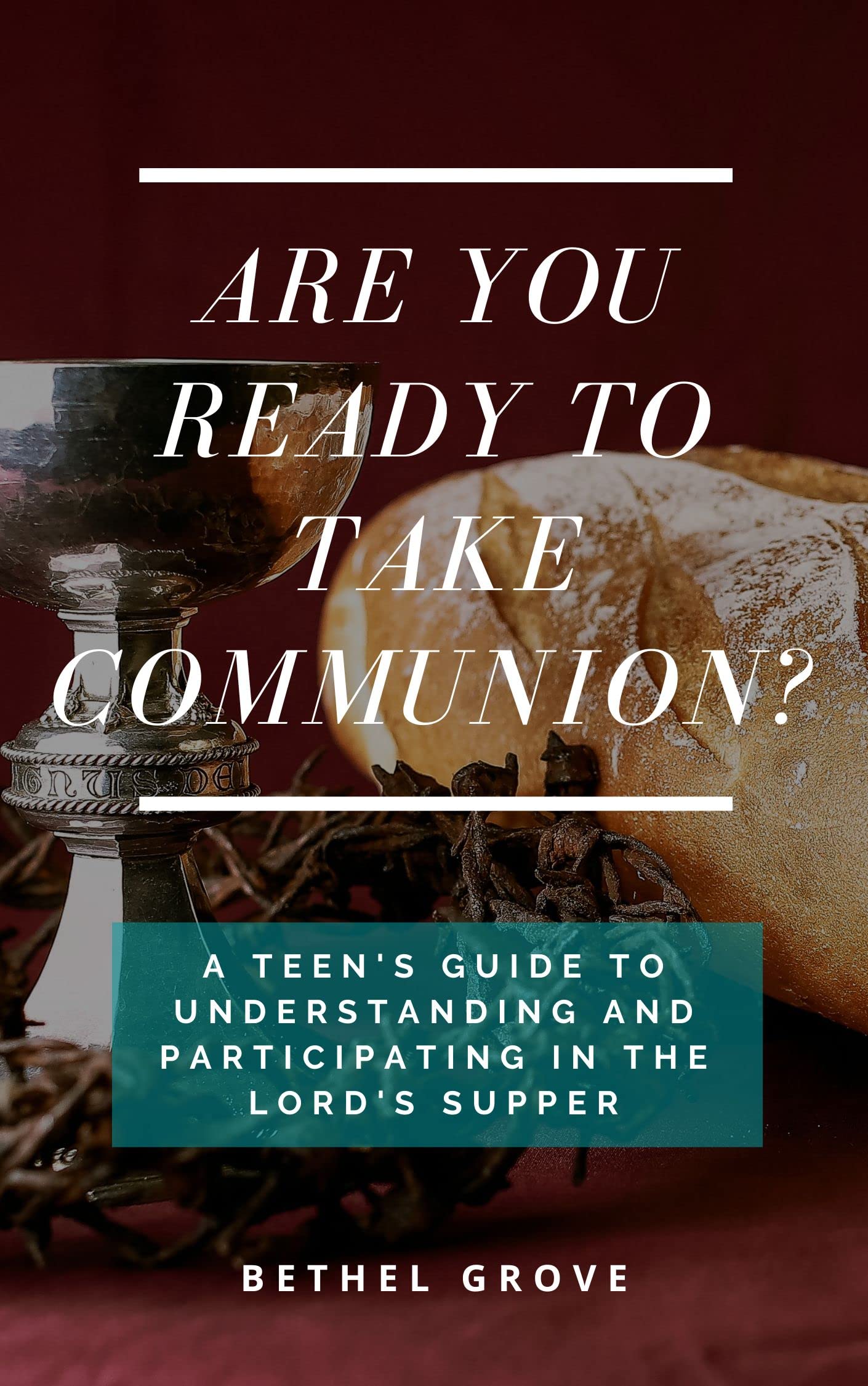Are You Ready to Take Communion?: A Teen's Guide to Understanding and ...