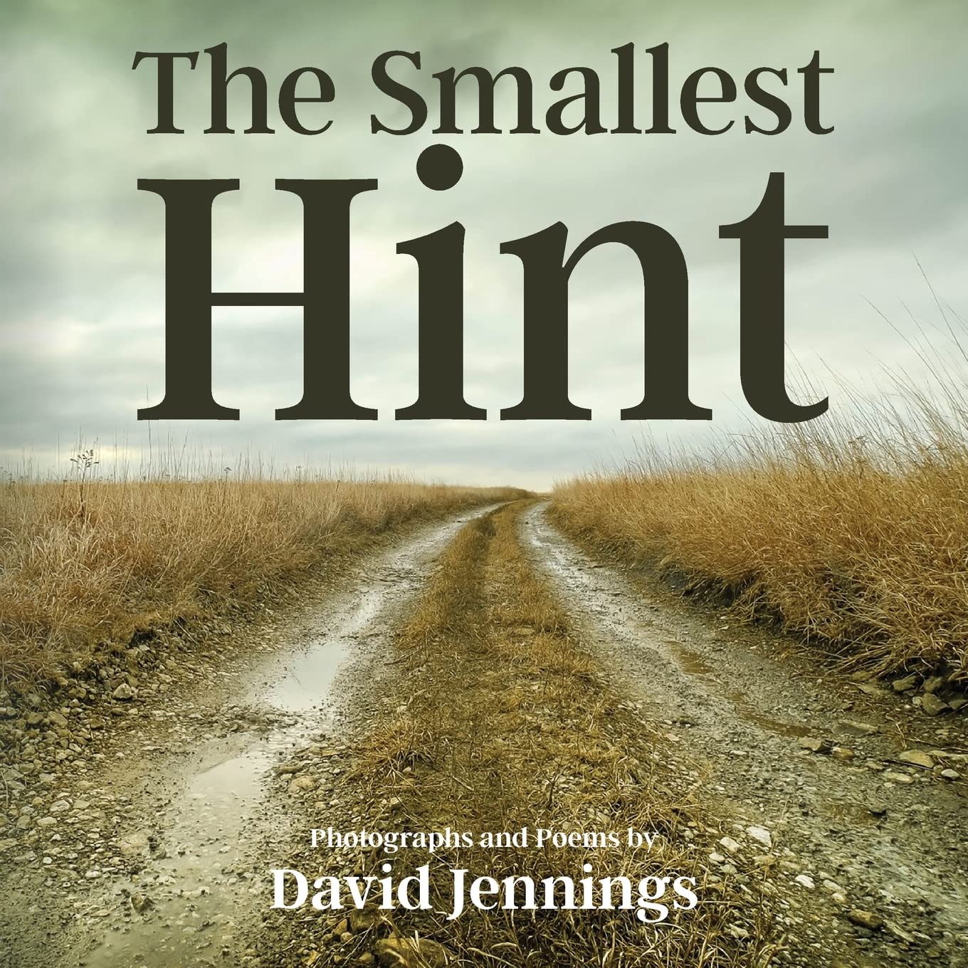 The Smallest Hint by David Jennings | Goodreads