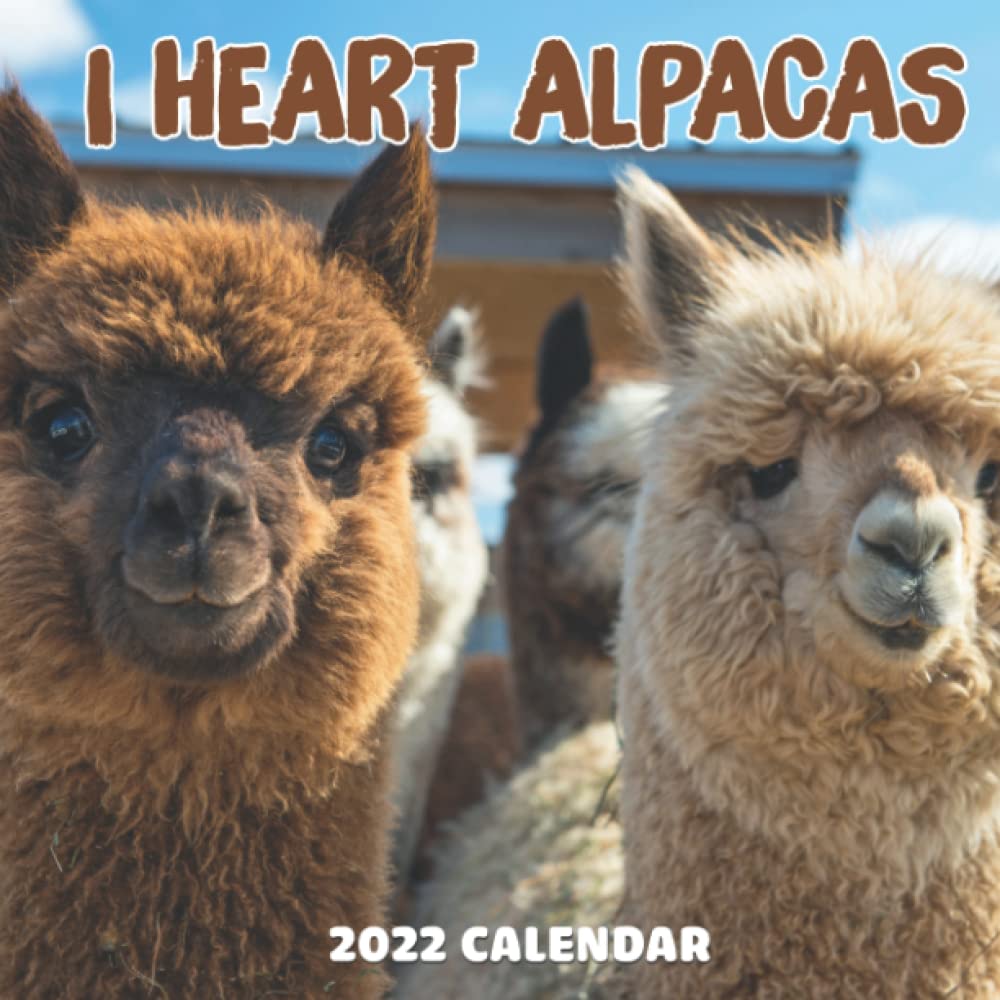 Lovely I Heart Alpacas Calendar 2022: "Funny, Alpacas, beautiful farm ...