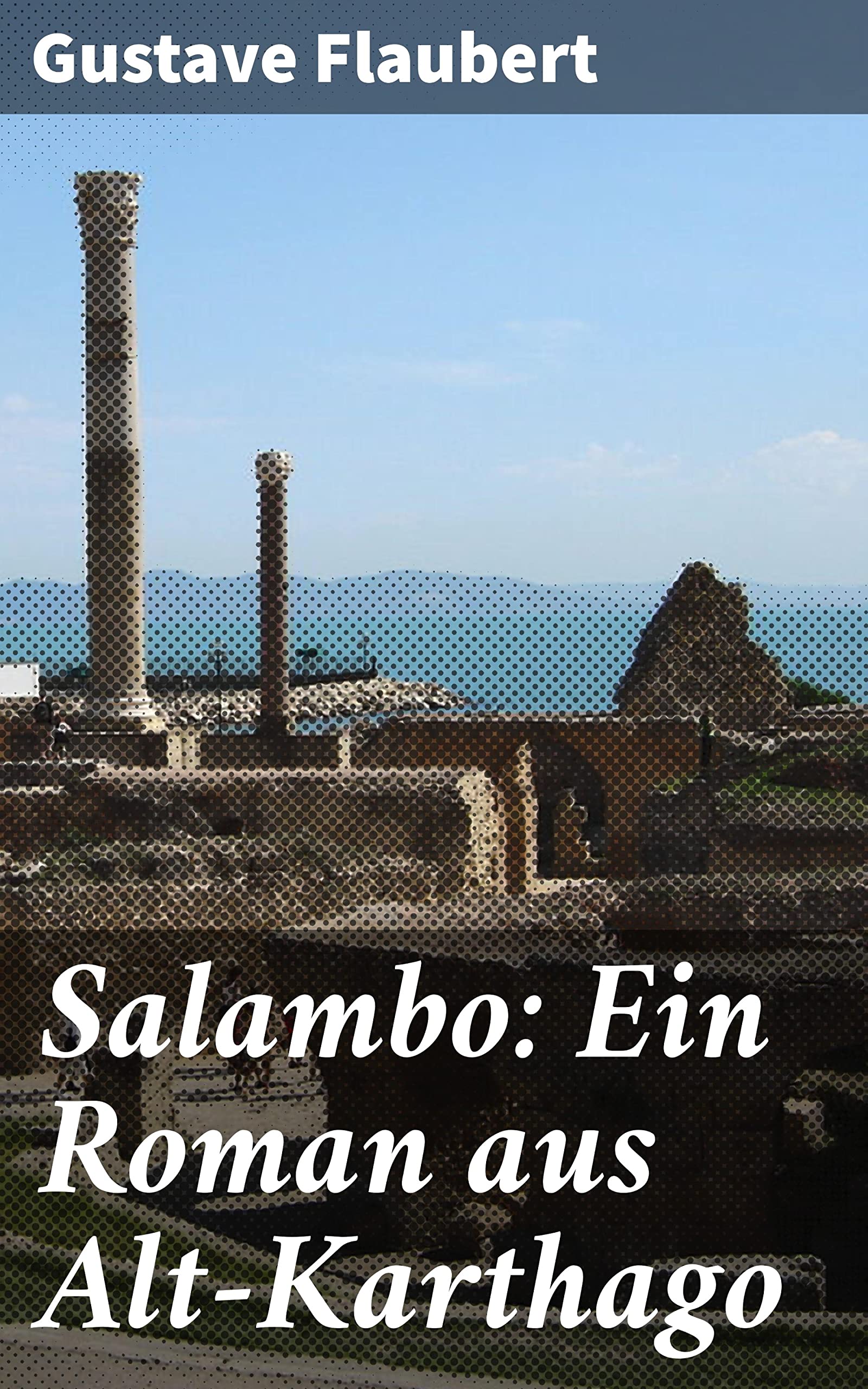 Salambo: Ein Roman aus Alt-Karthago: Intrigen und Rituale in der ...