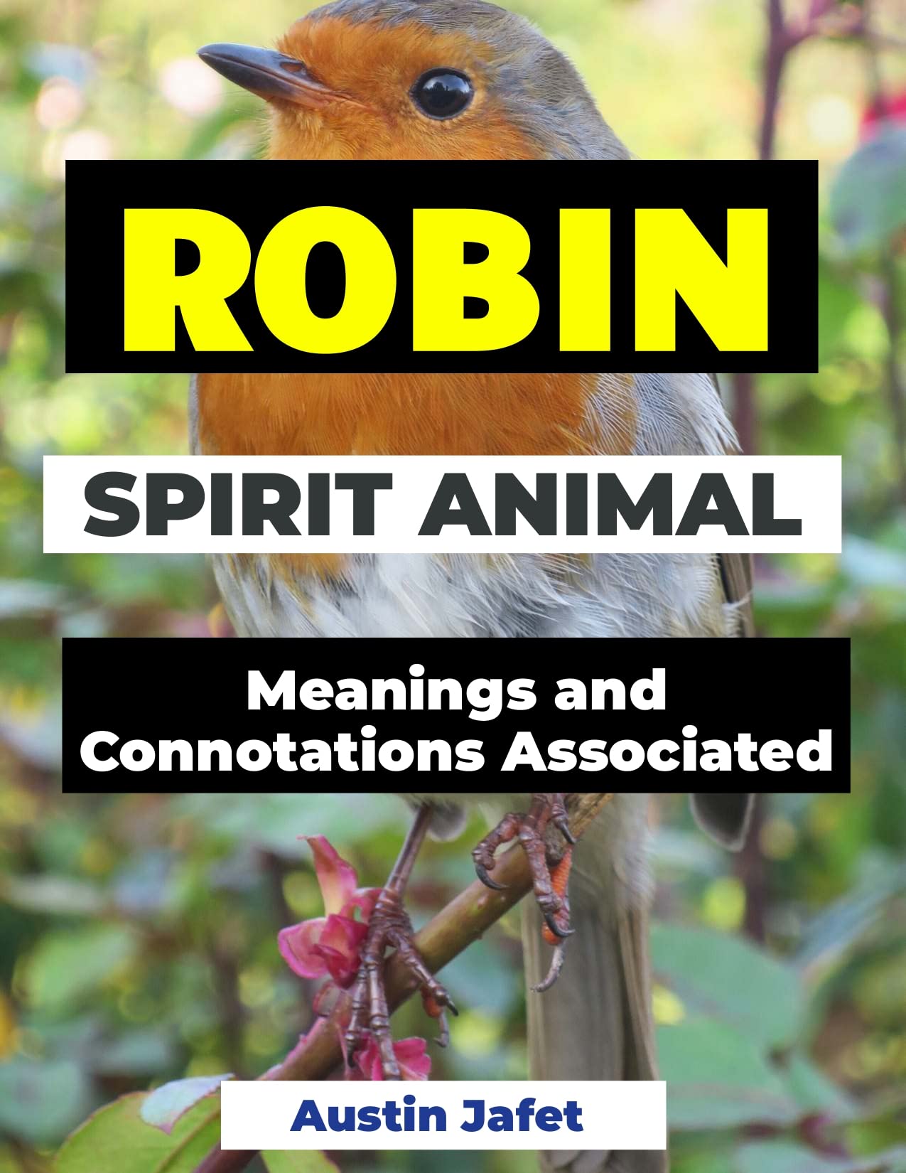 Meanings and Connotations Associated with the Robin Spirit Animal by ...