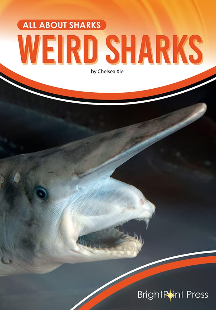Weird Sharks (All About Sharks) by Chelsea Xie | Goodreads