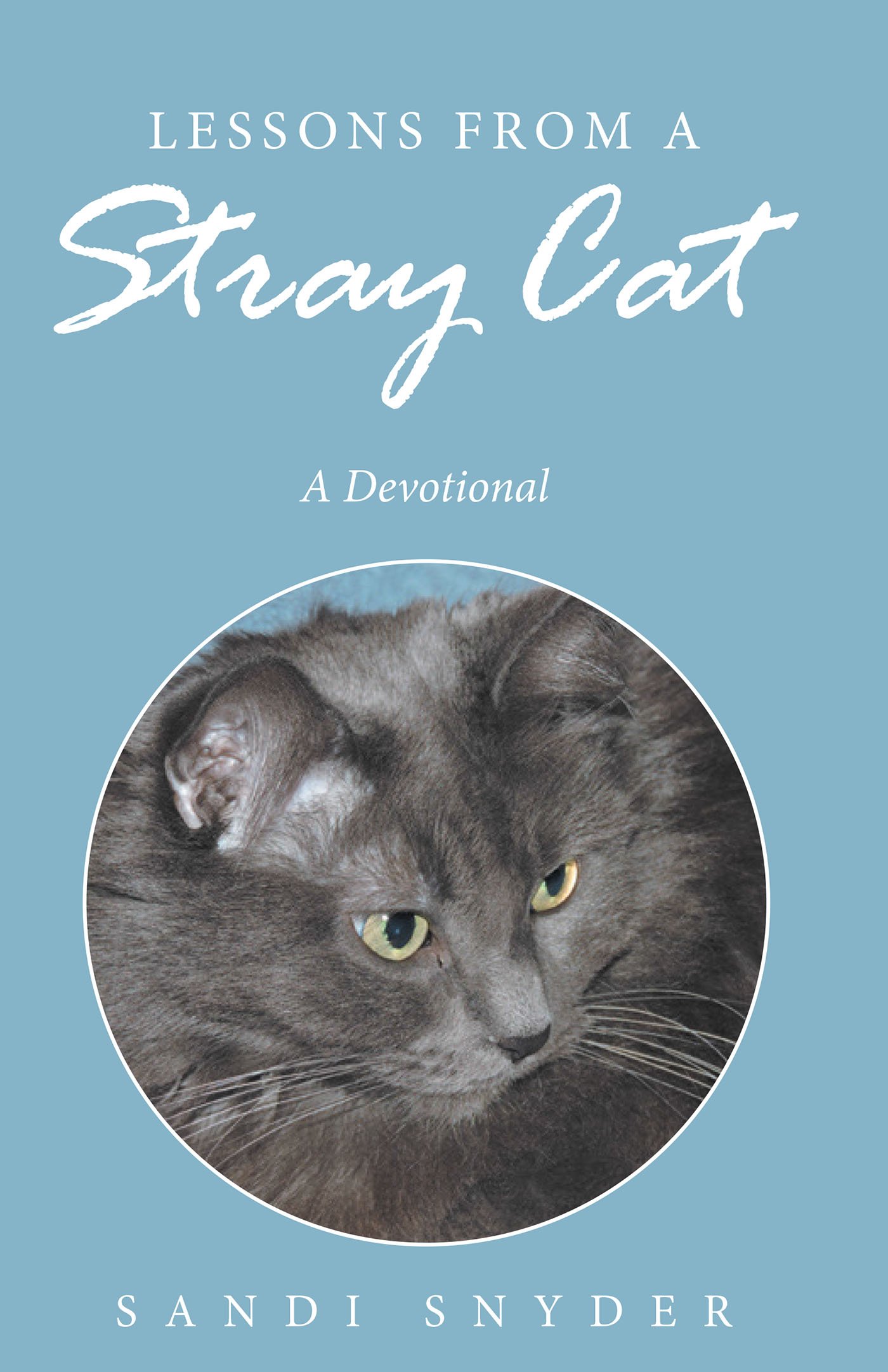 Lessons from a Stray Cat: A Devotional by Sandi Snyder | Goodreads