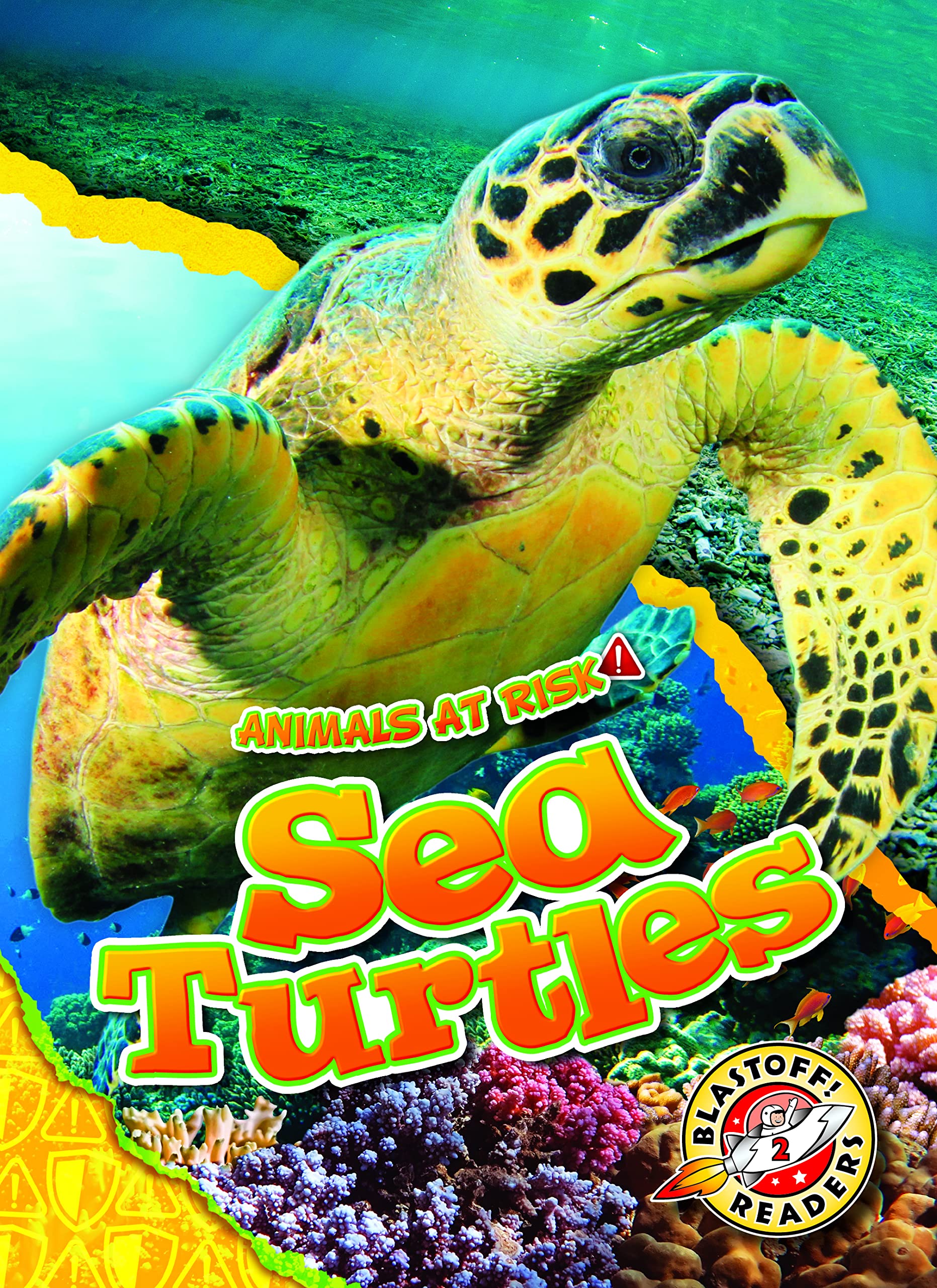Sea Turtles by Rachel A. Koestler-Grack | Goodreads