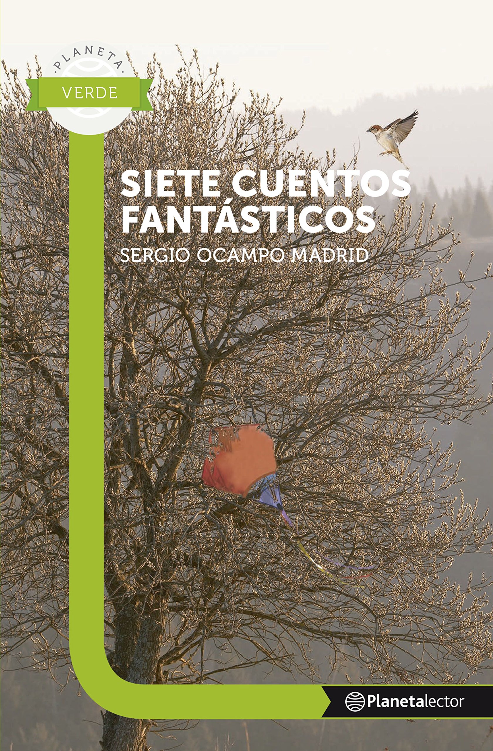 Siete Cuentos Fantasticos (Infantil y Juvenil) by Sergio Ocampo Madrid ...