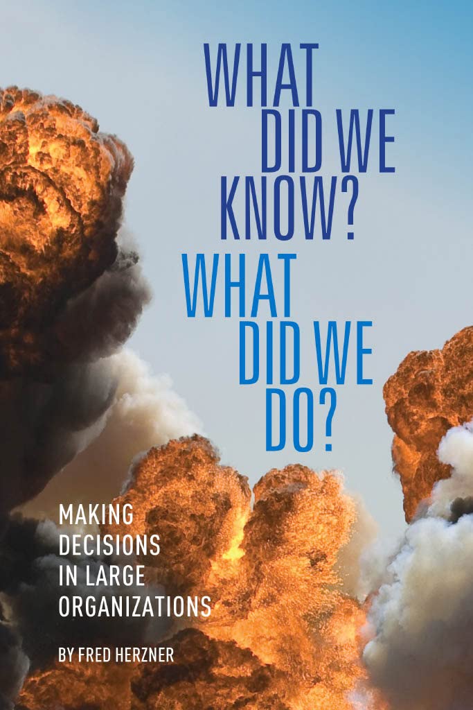 What Did We Know? What Did We Do?: Making Decisions in Large ...