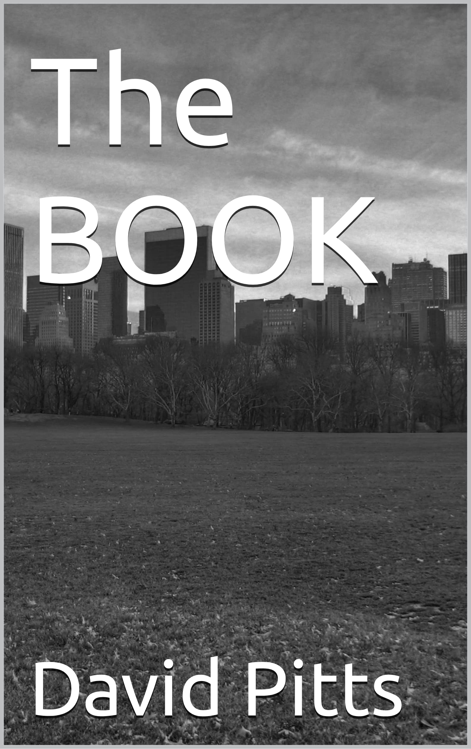 The BOOK by David Pitts | Goodreads