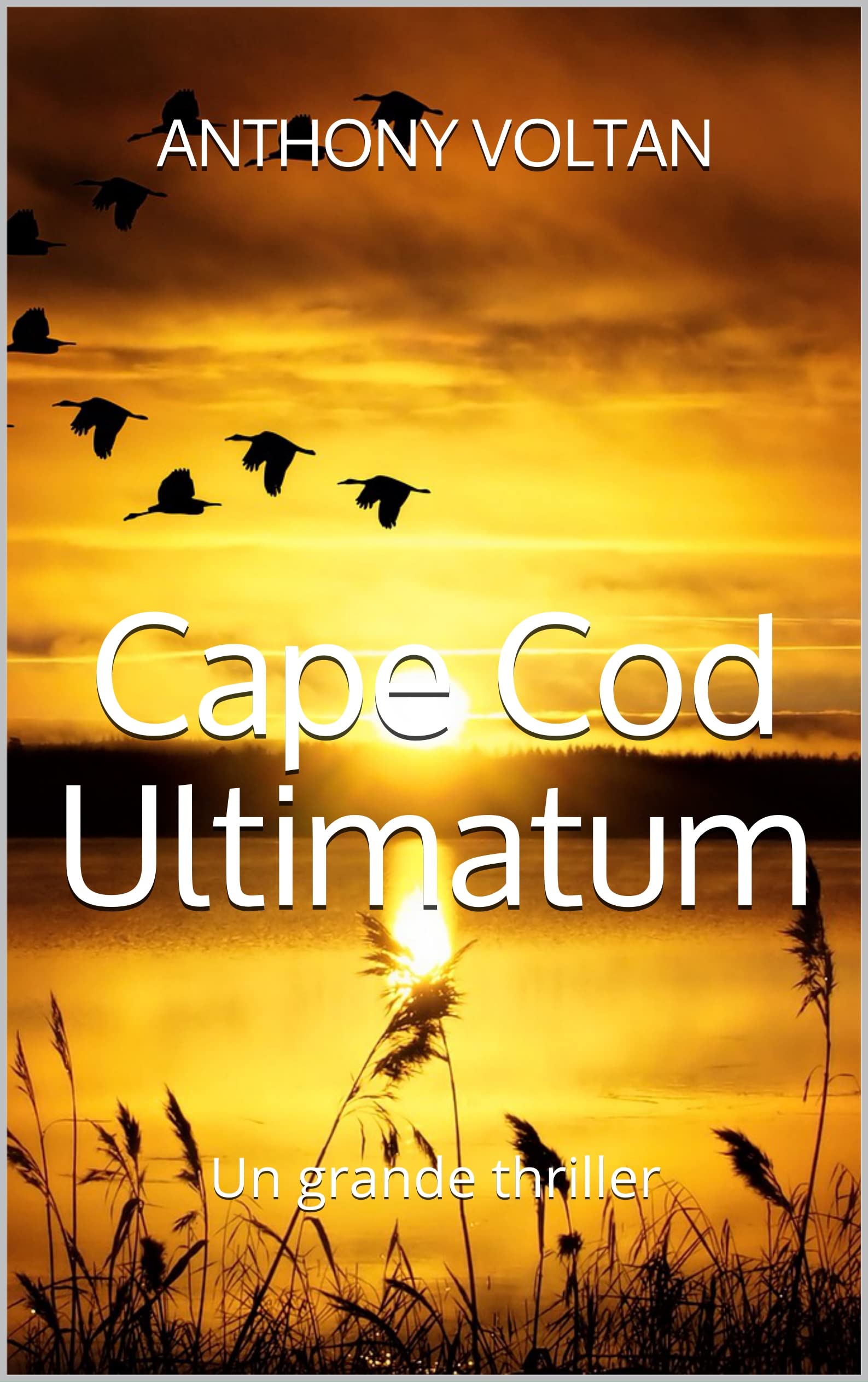 Cape Cod Ultimatum (Bostonian Stories Vol. 8) by Anthony Voltan | Goodreads