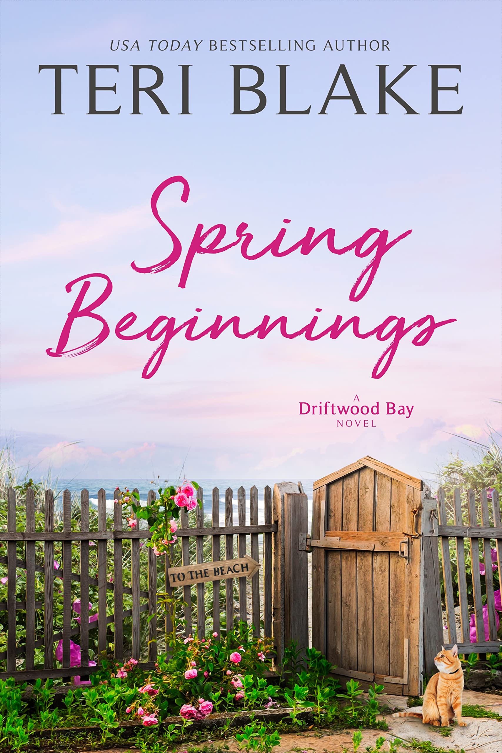 Spring Beginnings: Conclusion to the Driftwood Bay Series by Teri Blake ...