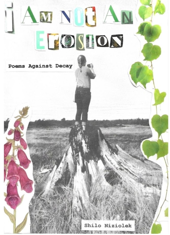 I Am Not An Erosion: Poems Against Decay by Shilo Niziolek | Goodreads