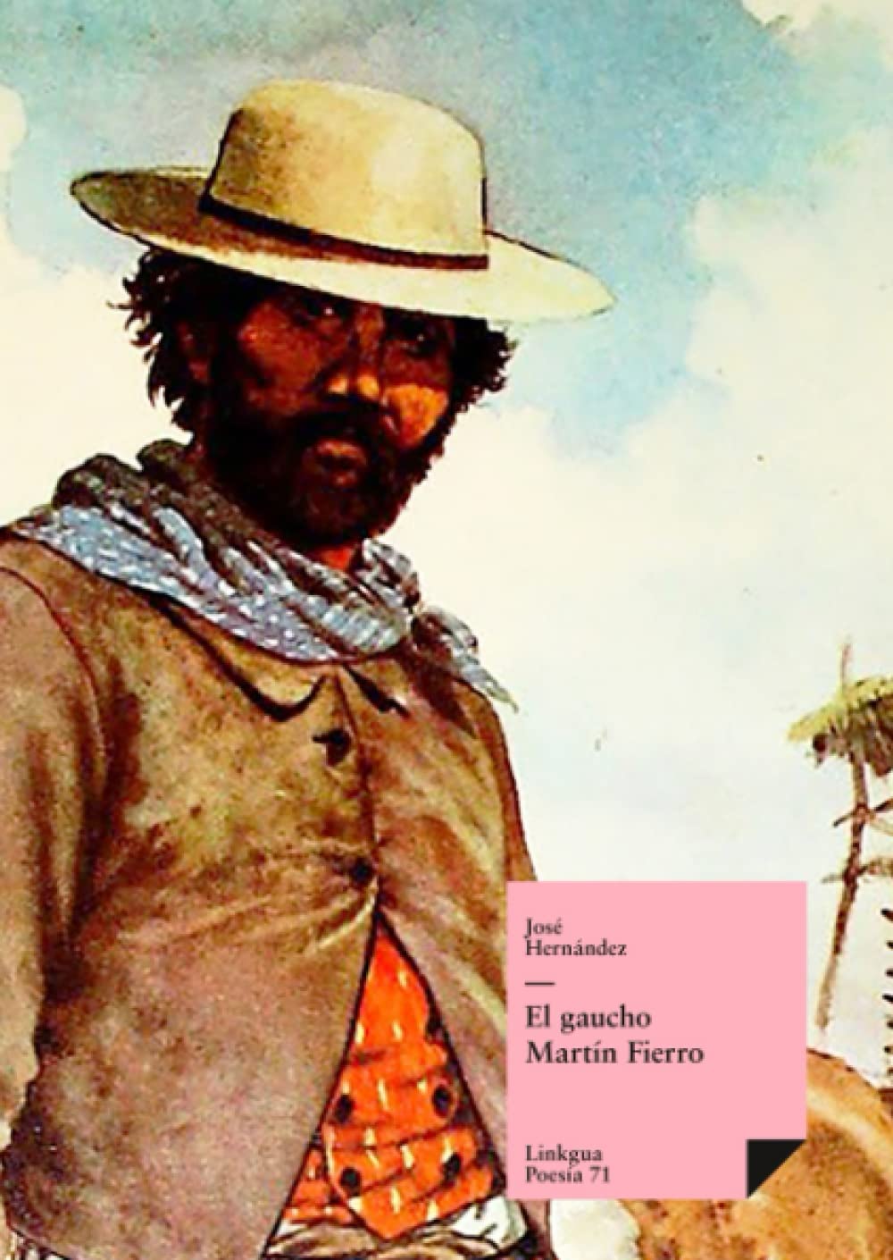 El gaucho Martín Fierro (Poesía) (Spanish Edition) by José Hernández ...