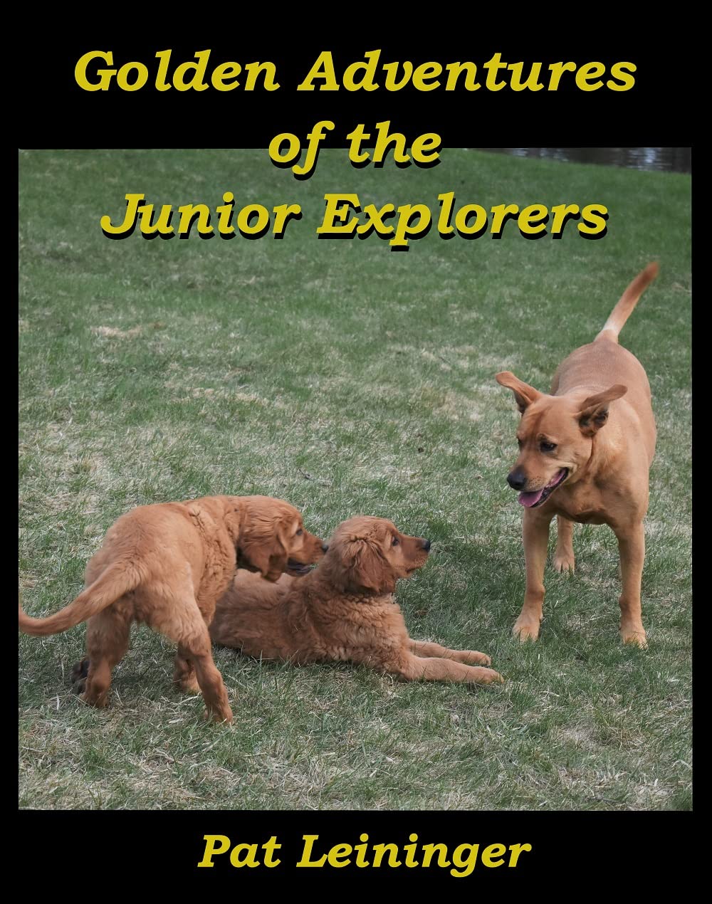Golden Adventures of the Junior Explorers by Pat Leininger | Goodreads