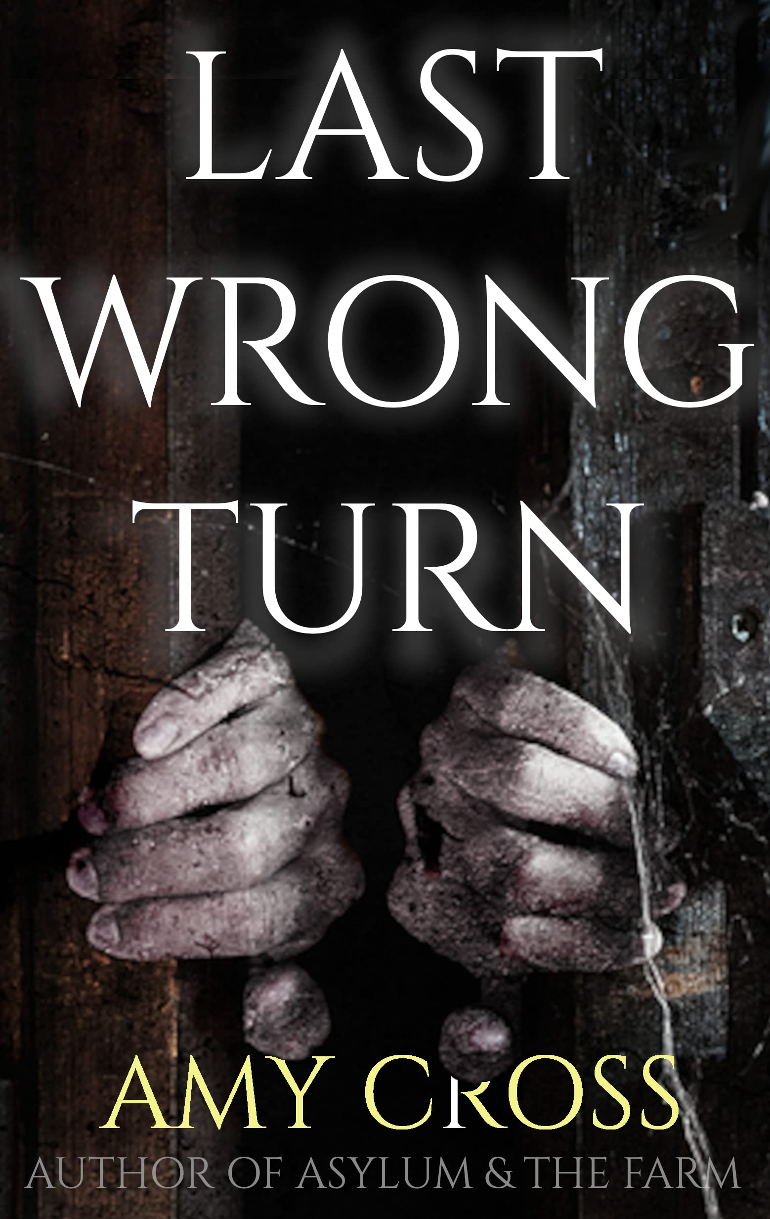 Last Wrong Turn (The Blood and Gore Collection) by Amy Cross | Goodreads