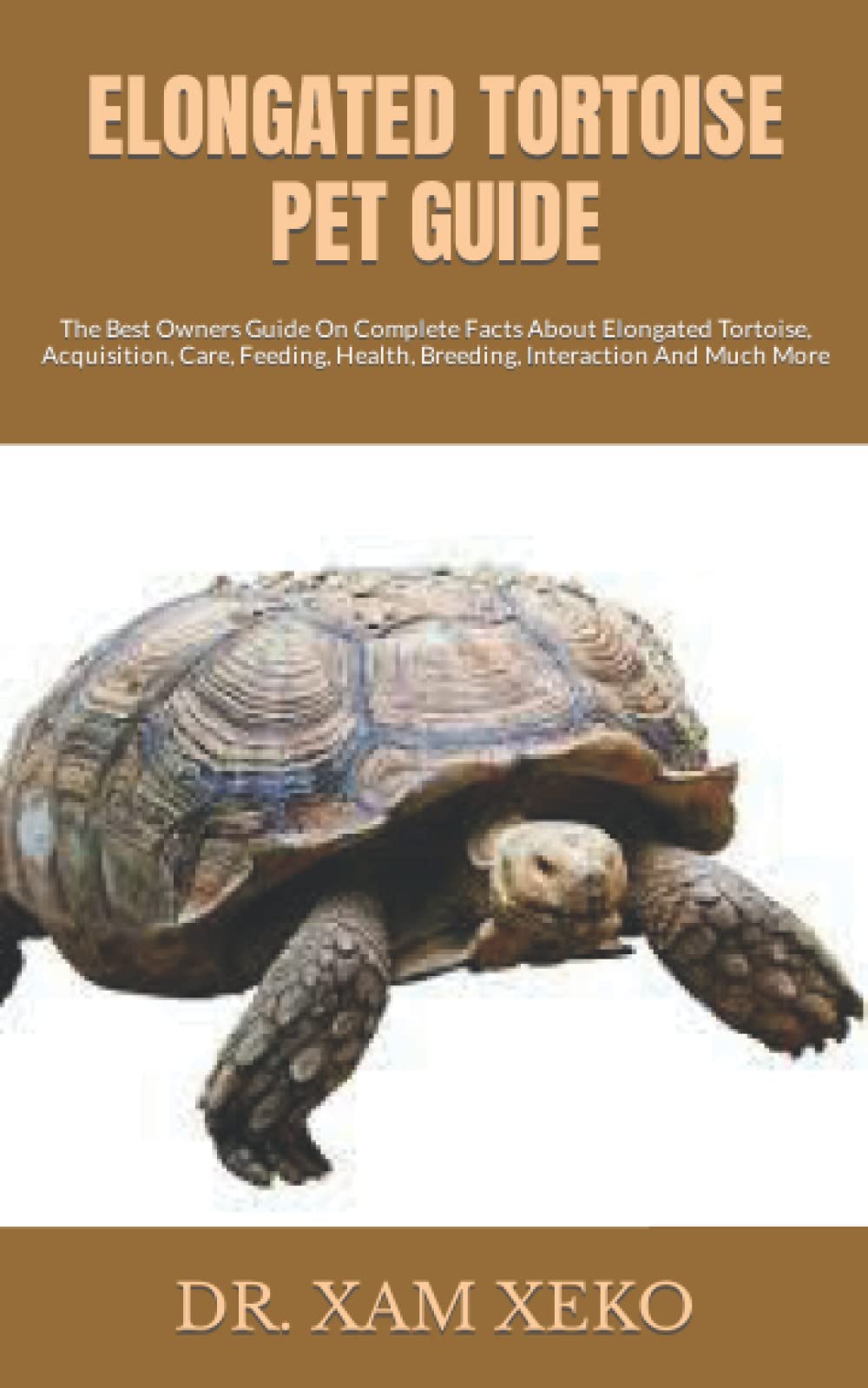 ELONGATED TORTOISE PET GUIDE: The Best Owners Guide On Complete Facts ...