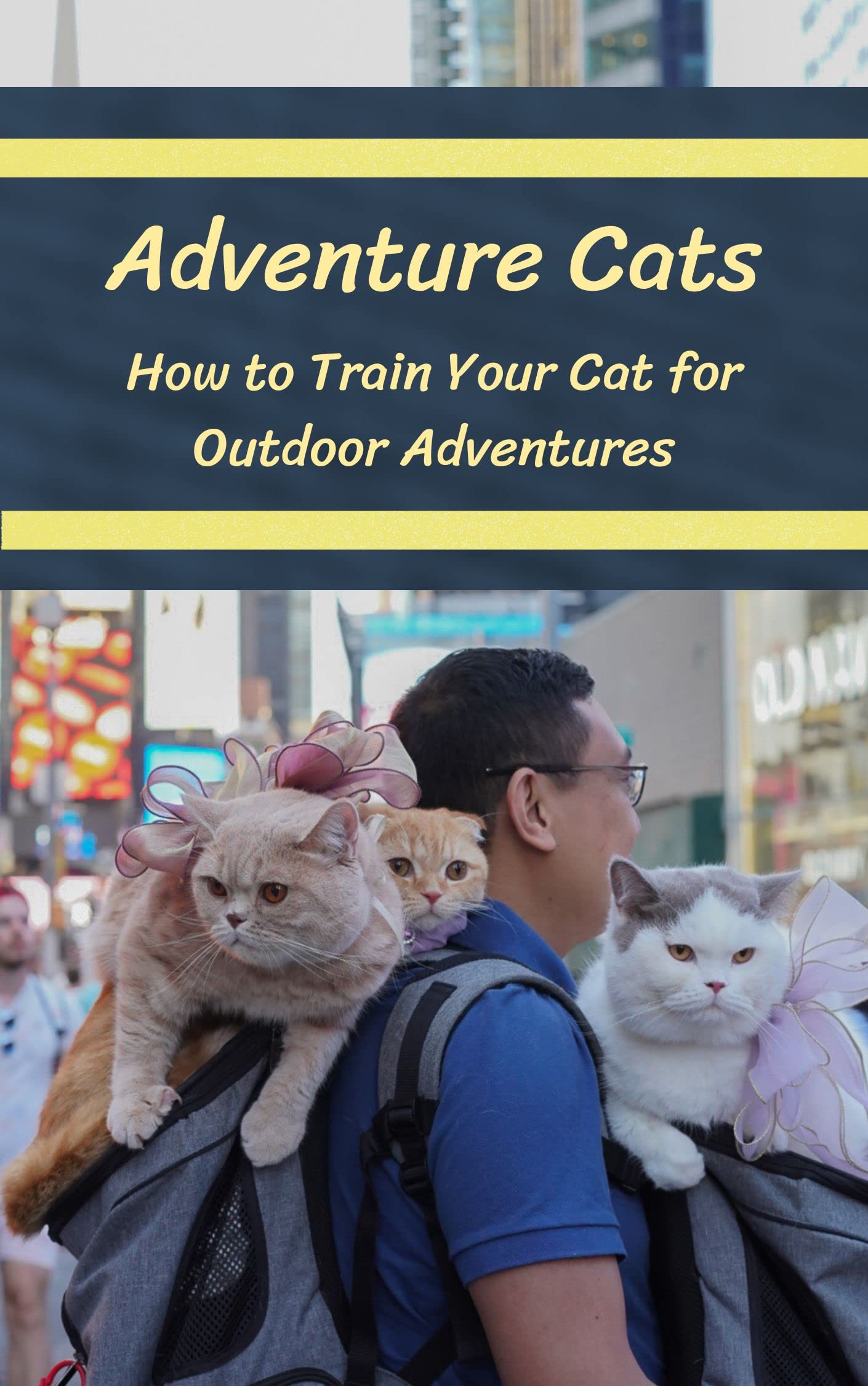 Adventure Cats: How to Train Your Cat for Outdoor Adventures by Dan ...
