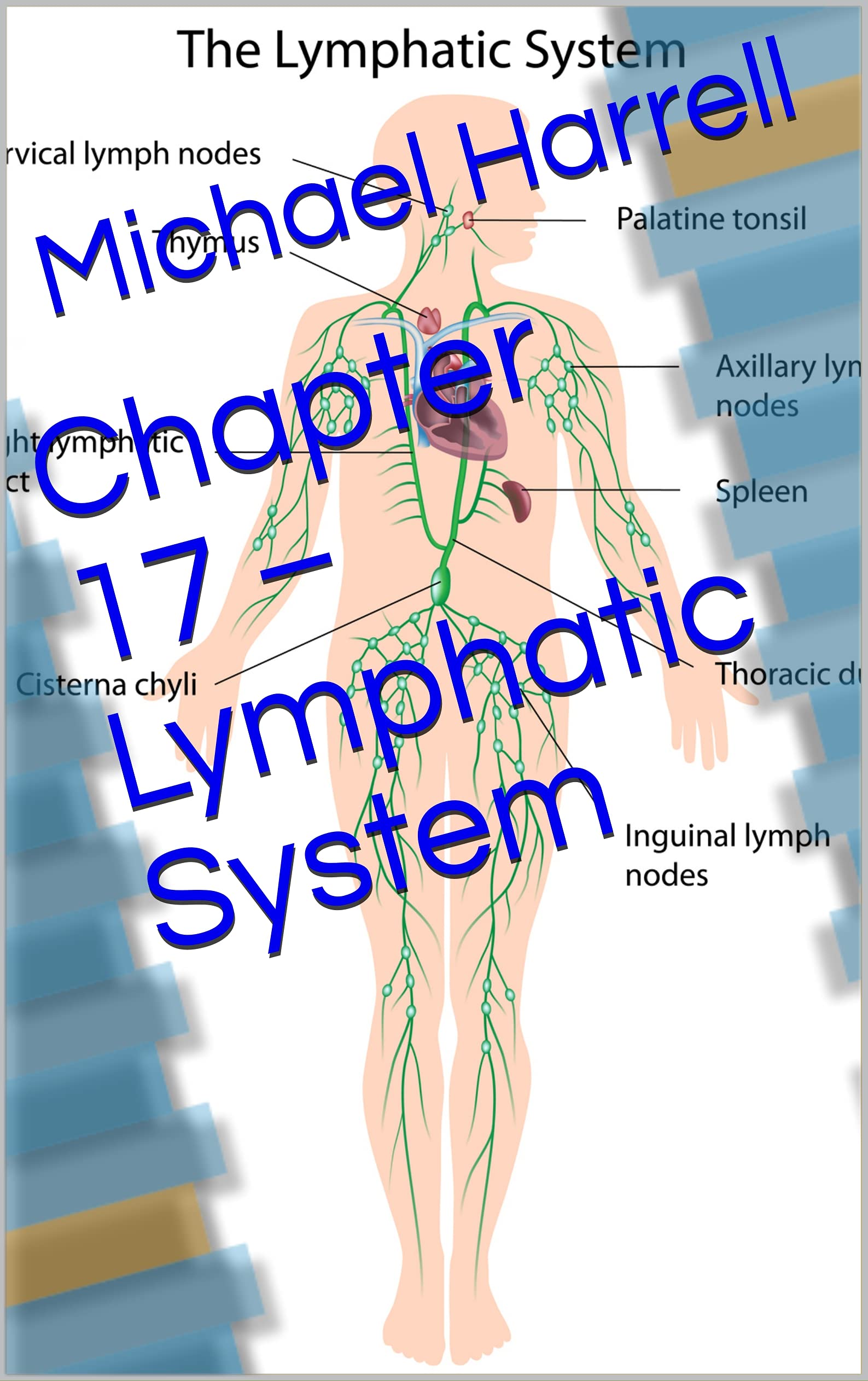 Chapter 17 – Lymphatic System by Michael Harrell | Goodreads