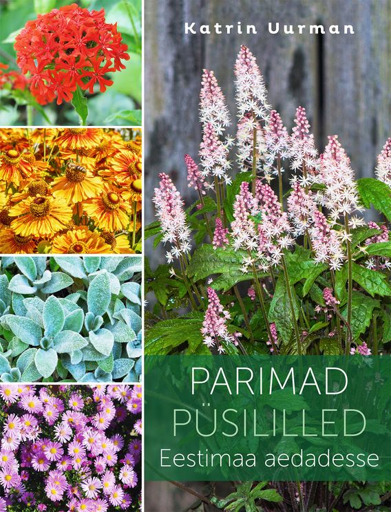 Parimad püsililled Eestimaa aedadesse by Katrin Uurman | Goodreads