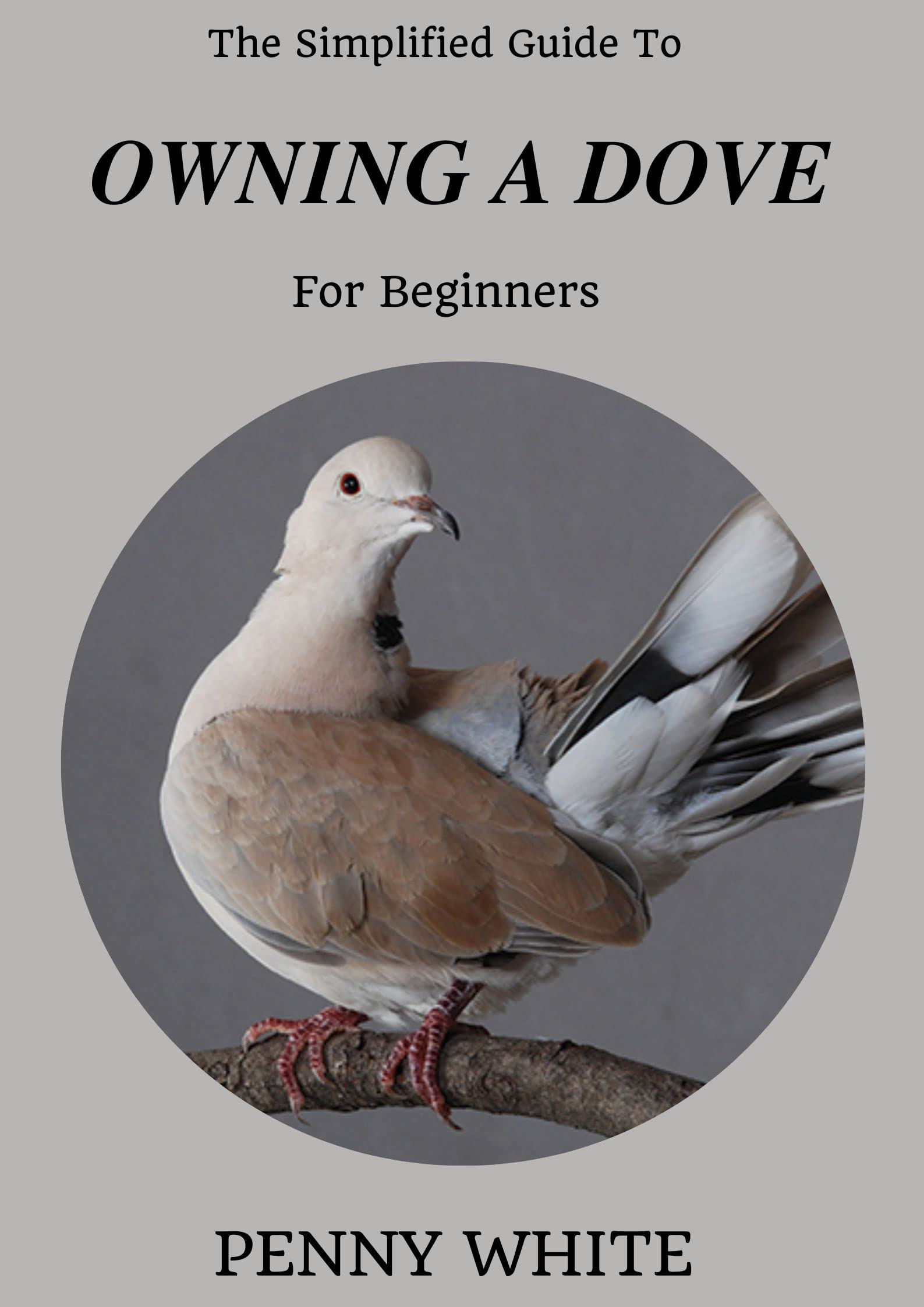 The Simplified Guide To Owing A Dove For Beginners by Penny White ...