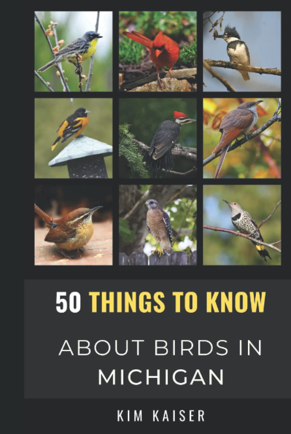 50 Things to Know About Birds in Michigan: Birding in the Great Lake ...