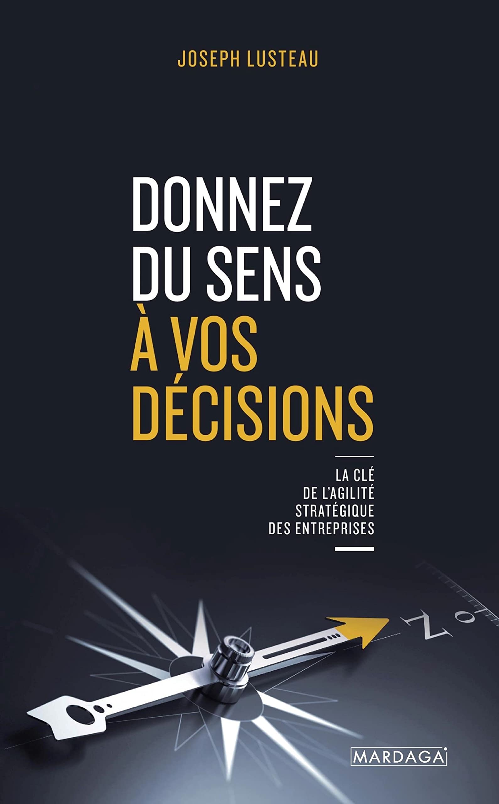 Donnez du sens à vos décisions: La clé de l'agilité stratégique des entreprises (Gestion ...
