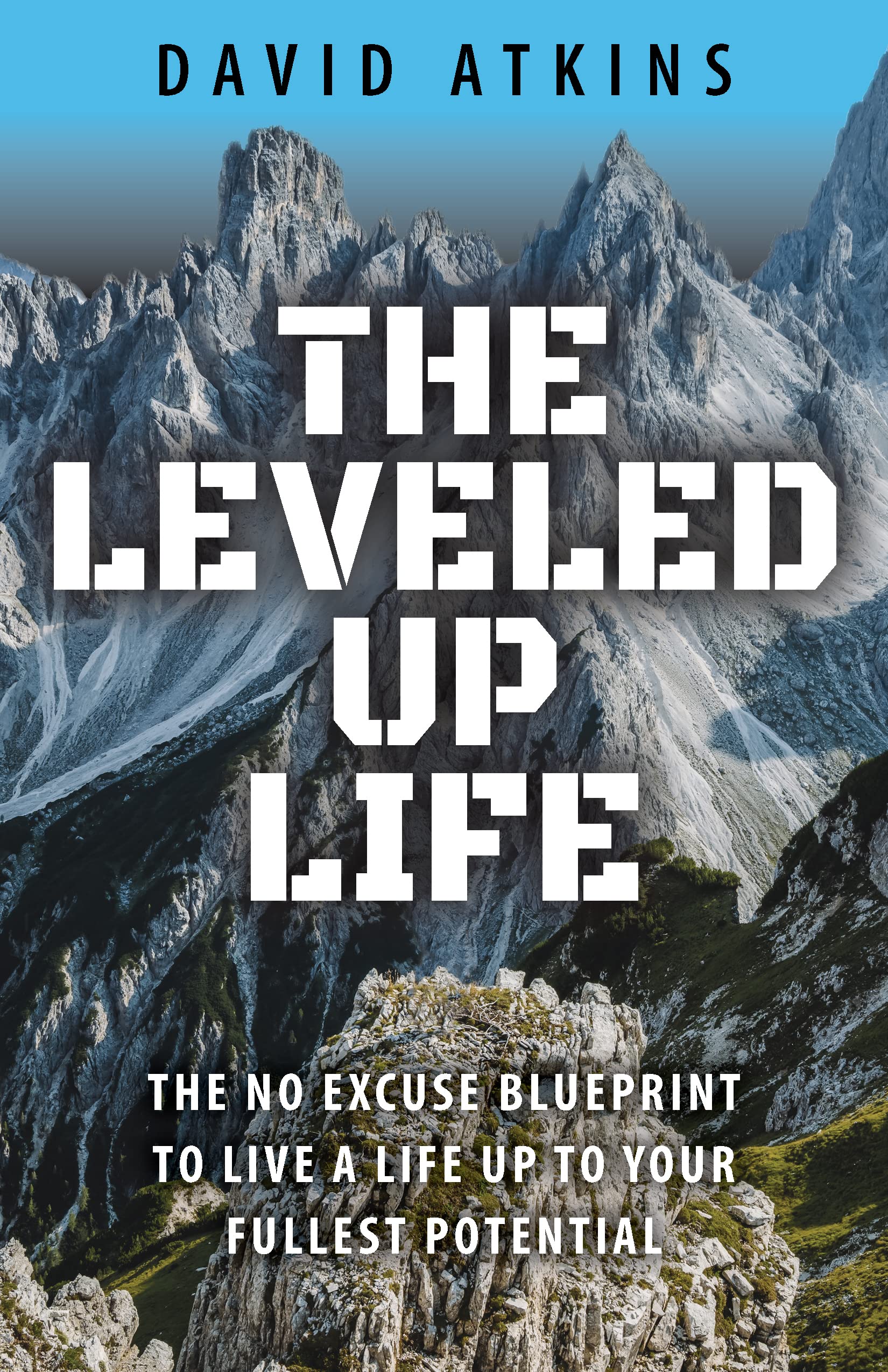 The Leveled Up Life: The No Excuse Blueprint to Live Up to Your Fullest ...