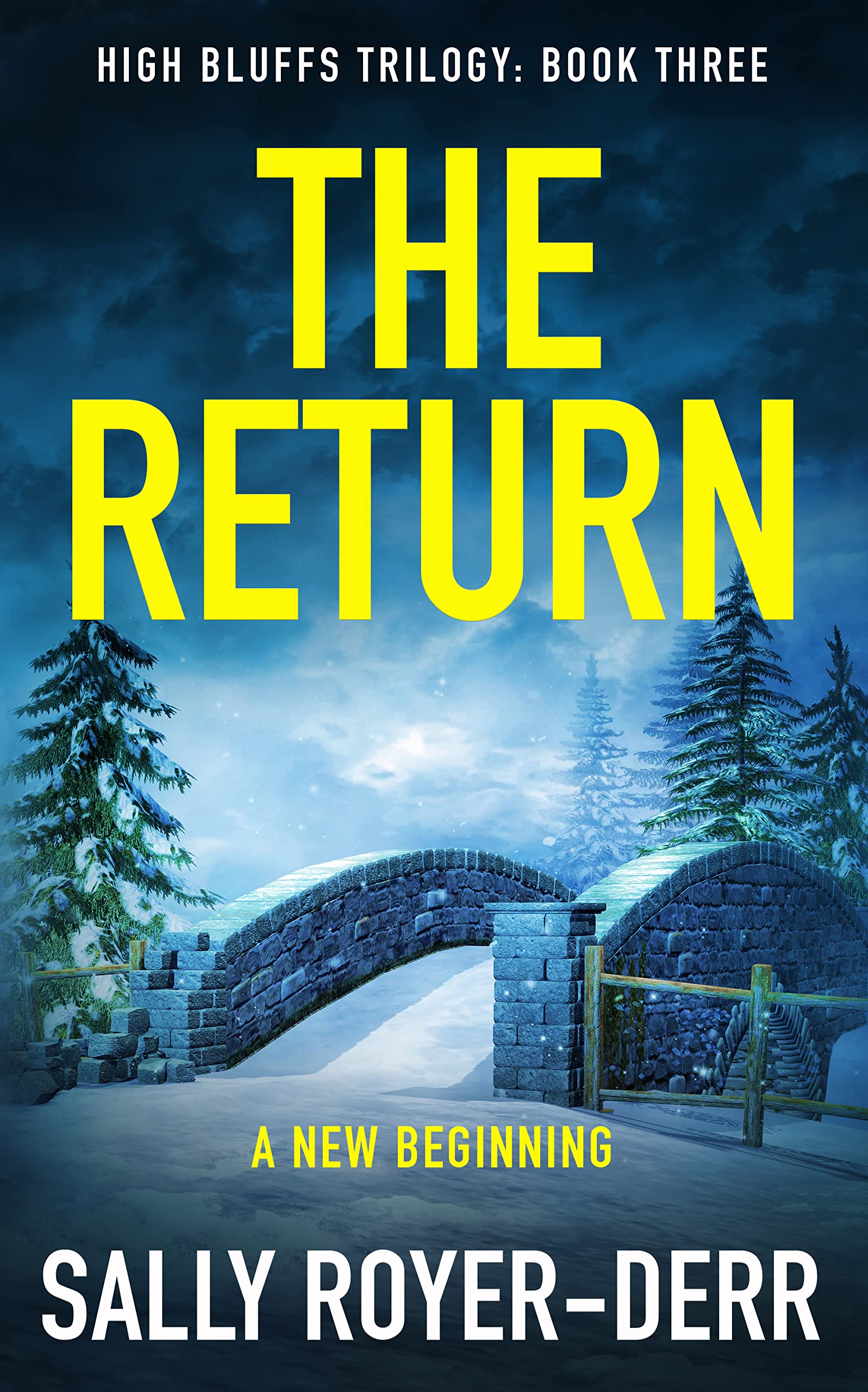 The Return (High Bluffs Trilogy #3) by Sally Royer-Derr | Goodreads