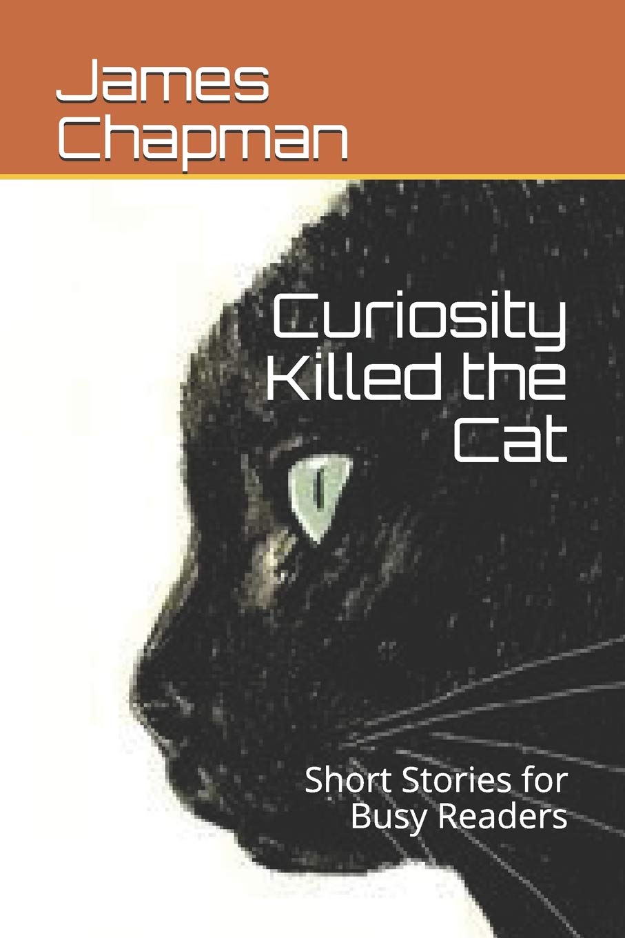 Curiosity Killed the Cat: Short Stories for Busy Readers by James ...